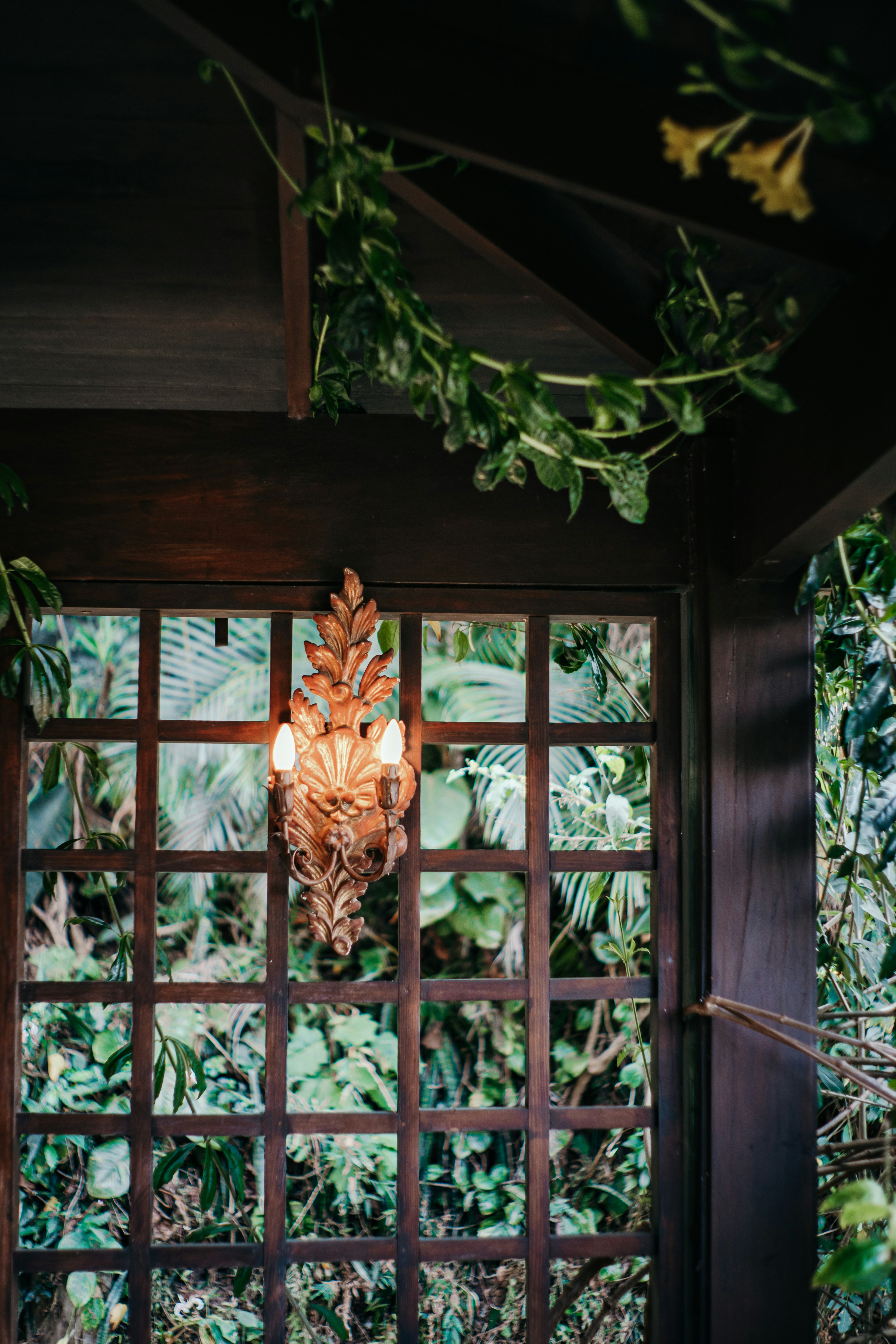 Leaf-ornate Sconce Framed by Lattice Trellis in a Verdant Room