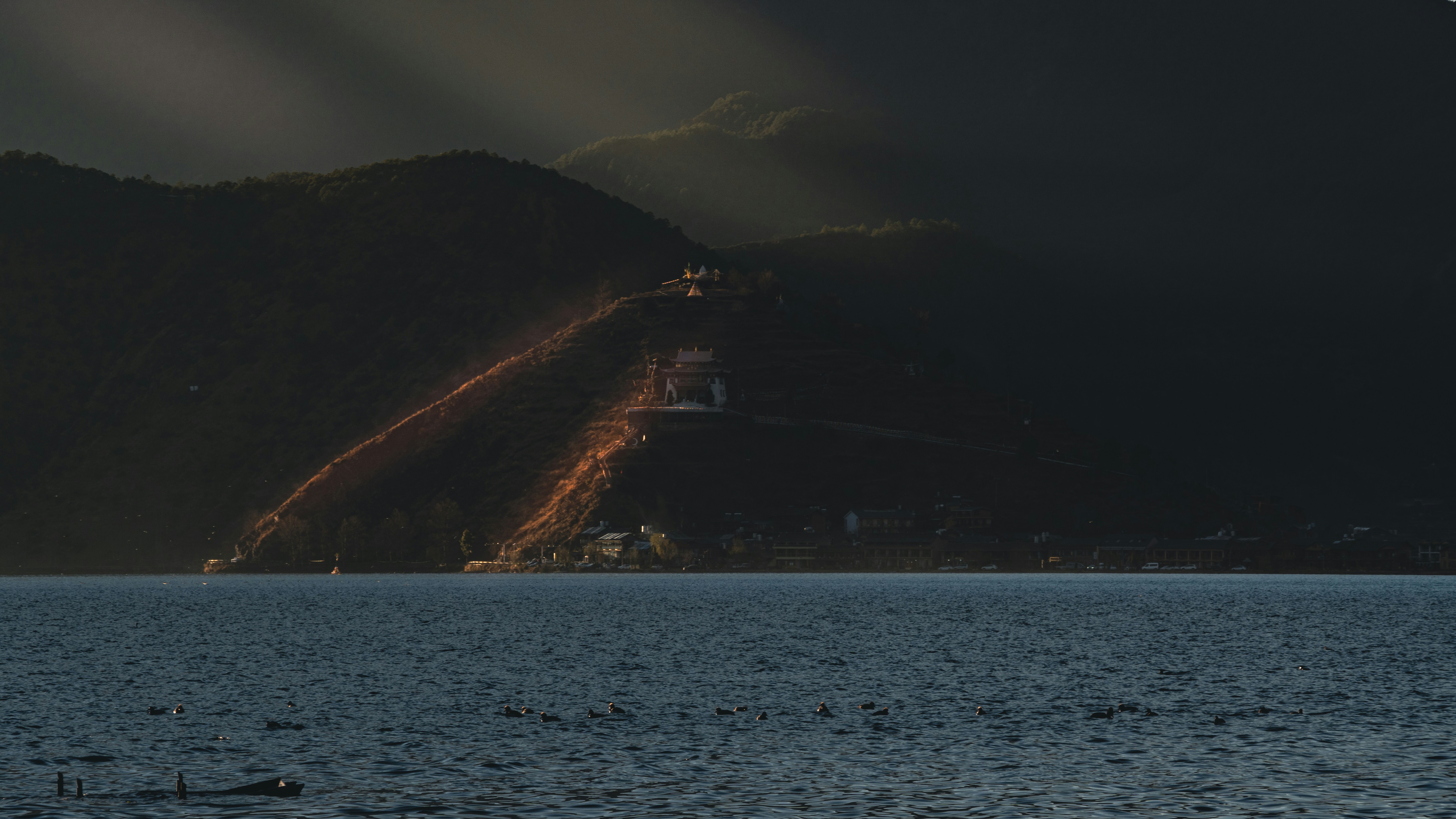 Ducks float on a tranquil lake as sunlight bathes a distant hill in golden hues.
