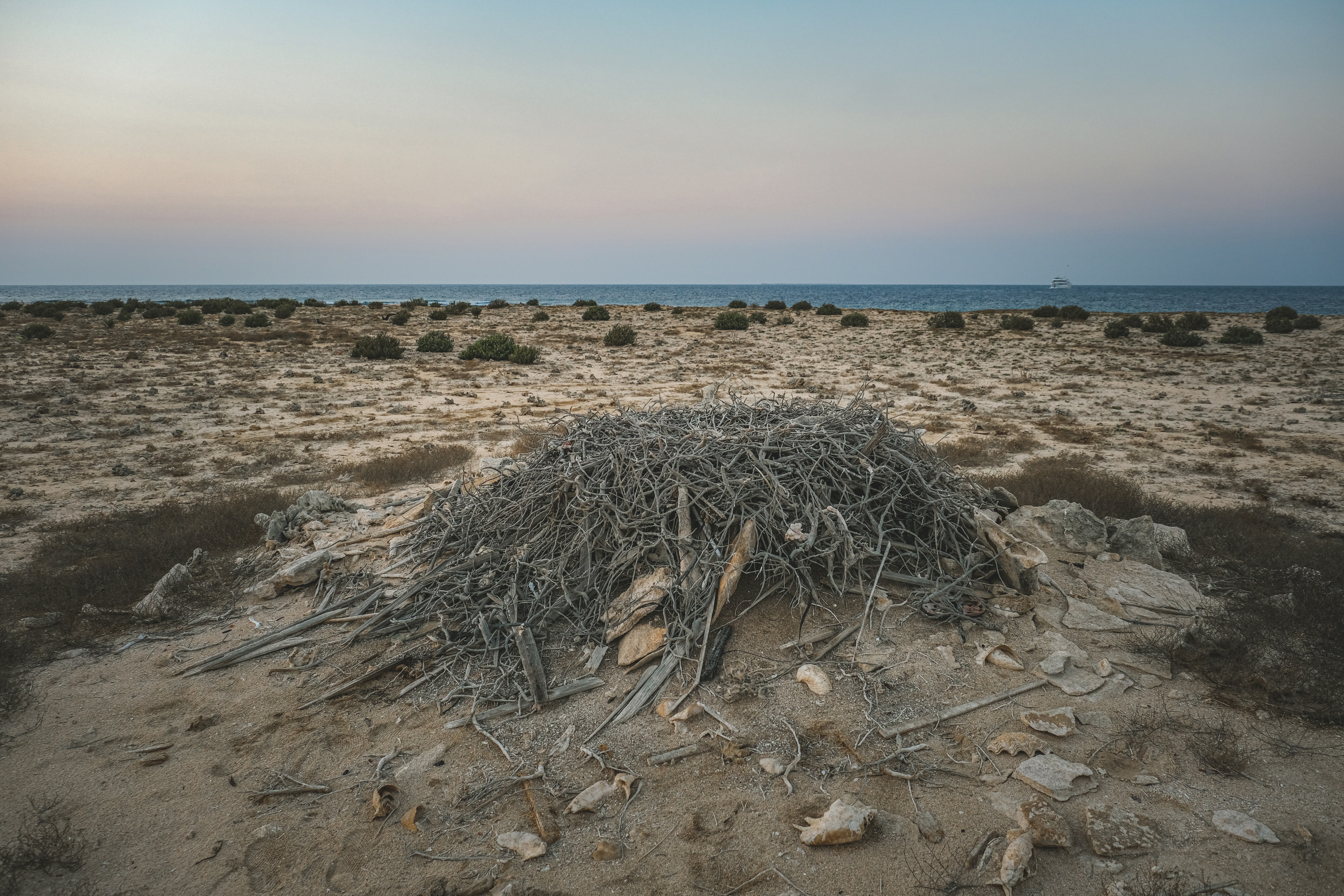 Driftwood Citadel on a Quiet Shore at Dusk
