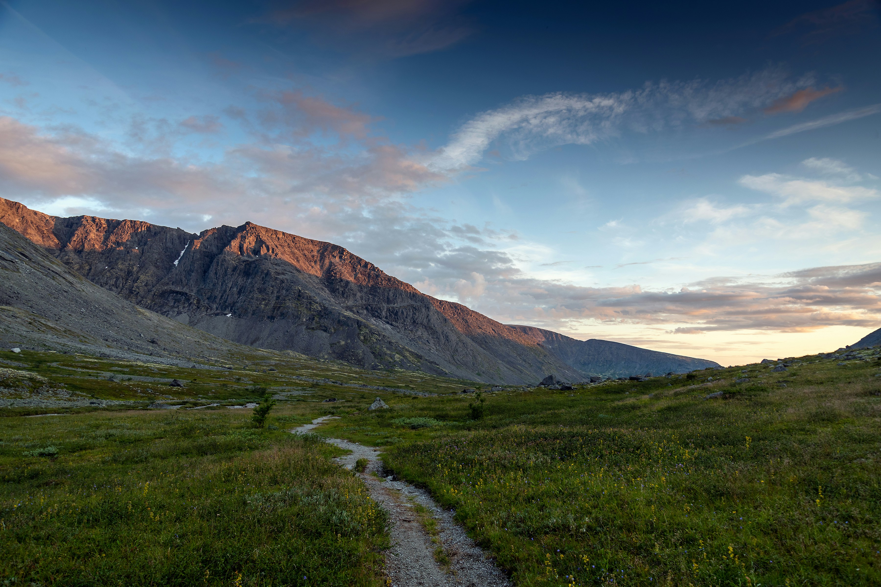 Trail to the Sunlit Spine: Alpine Meadow at Golden Hour