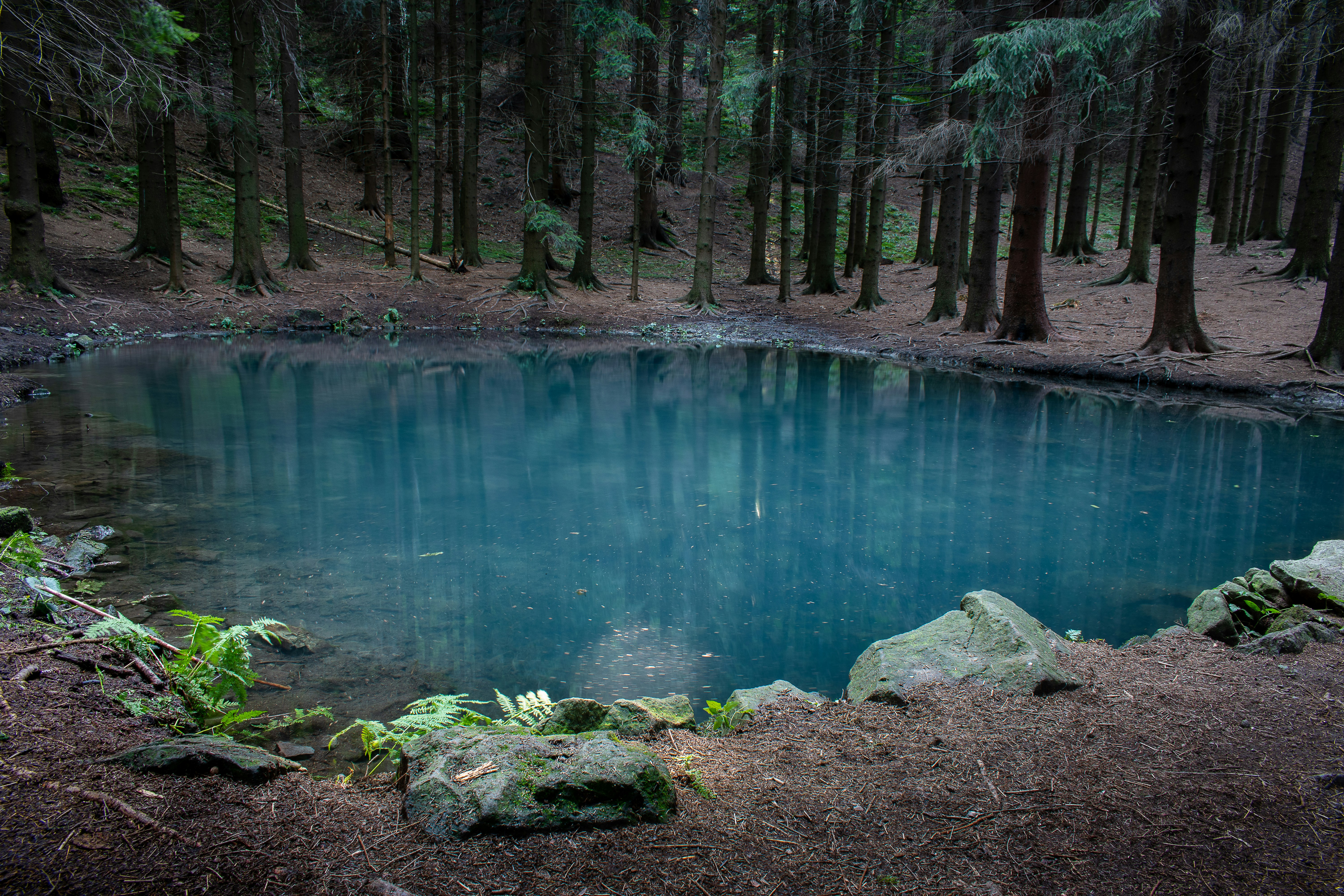 Azure Crater: A Quiet Blue Pond Surrounded by Pines