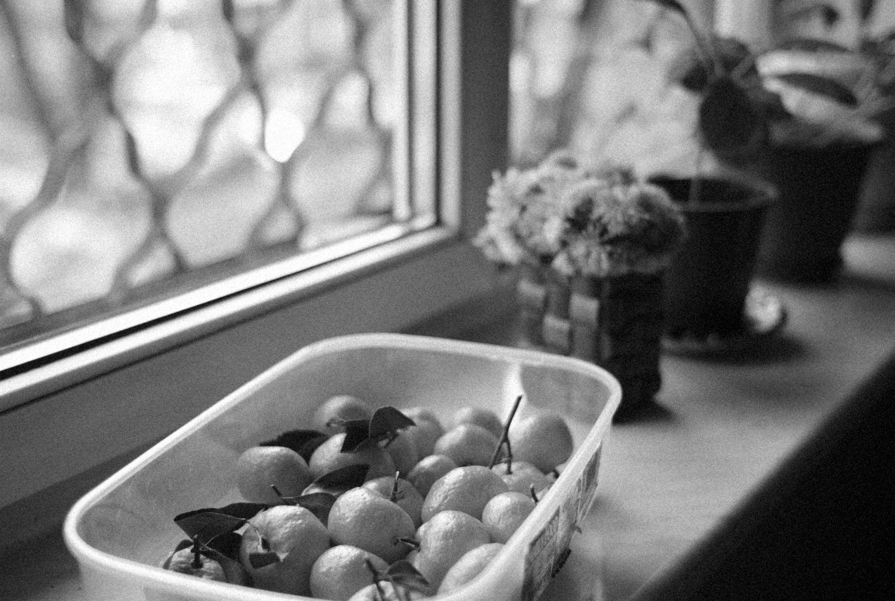 Fruit Basket by a Windowsill in Soft Gray Light
