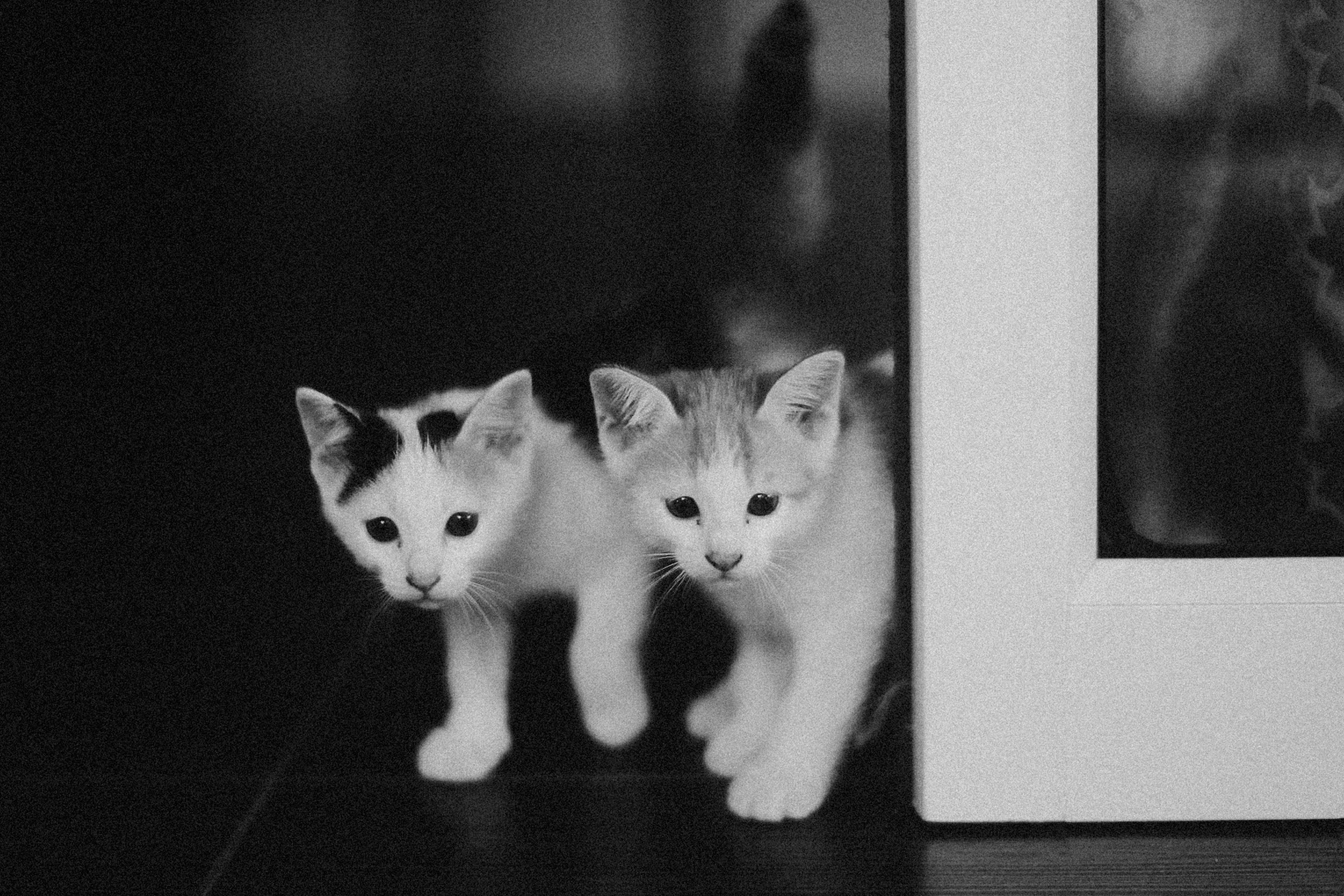 Photo by Alexey Demidov with Apple iPhone 5s