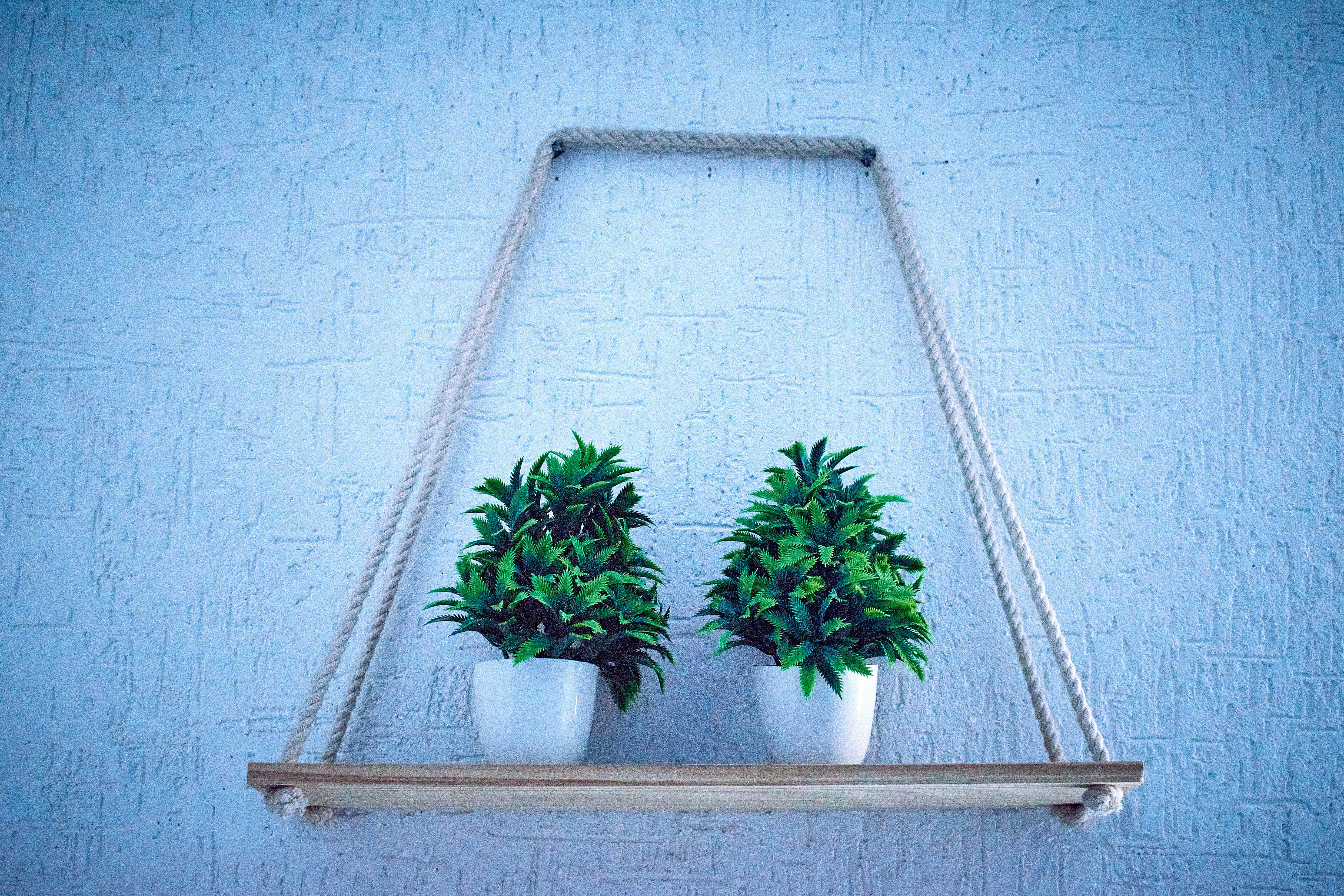 Azure Wall, Twin Pots: A Quiet Moment on a Floating Shelf
