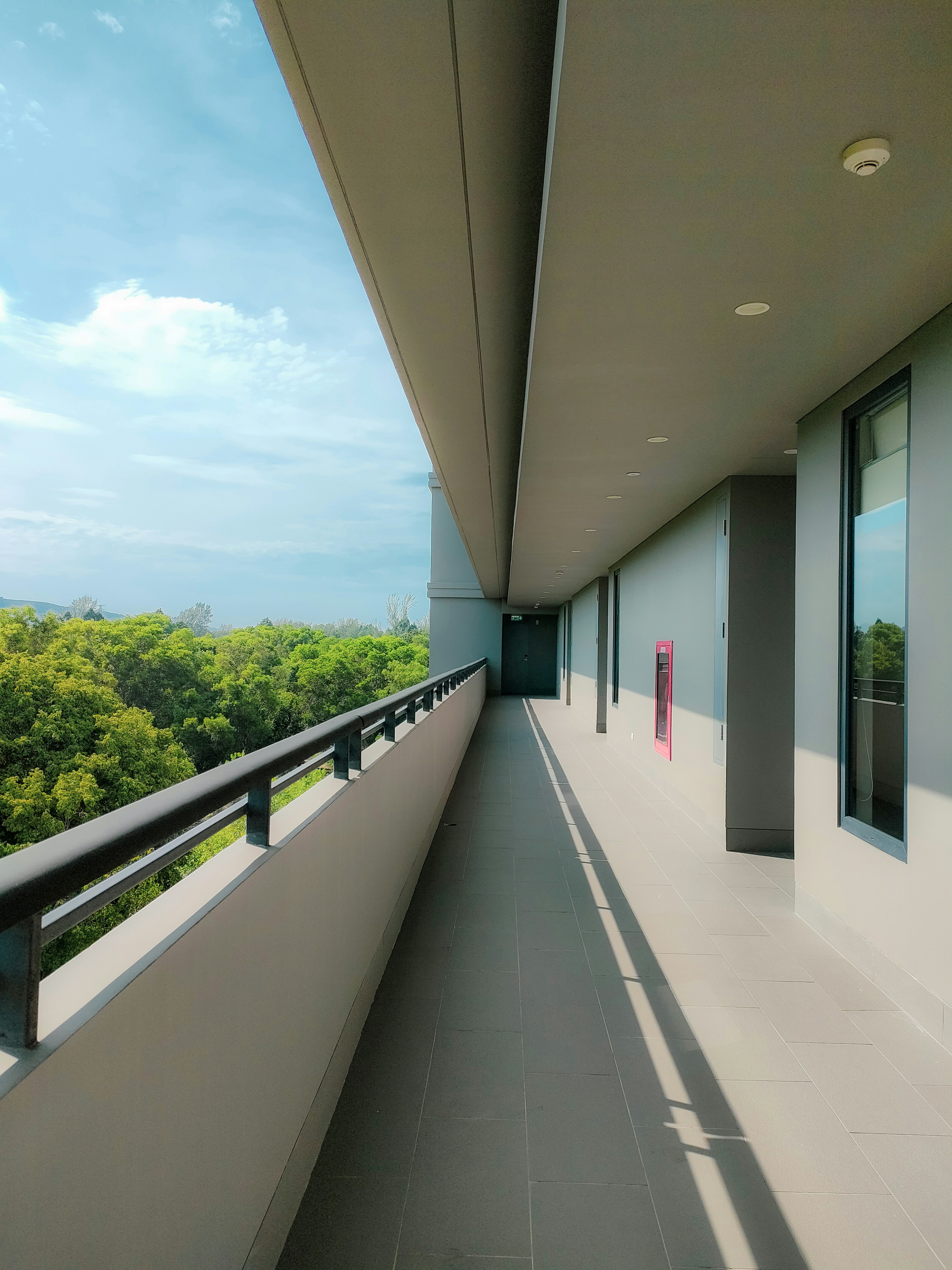 Foto Un balcón con vistas a los árboles y al cielo – Imagen Club de ...