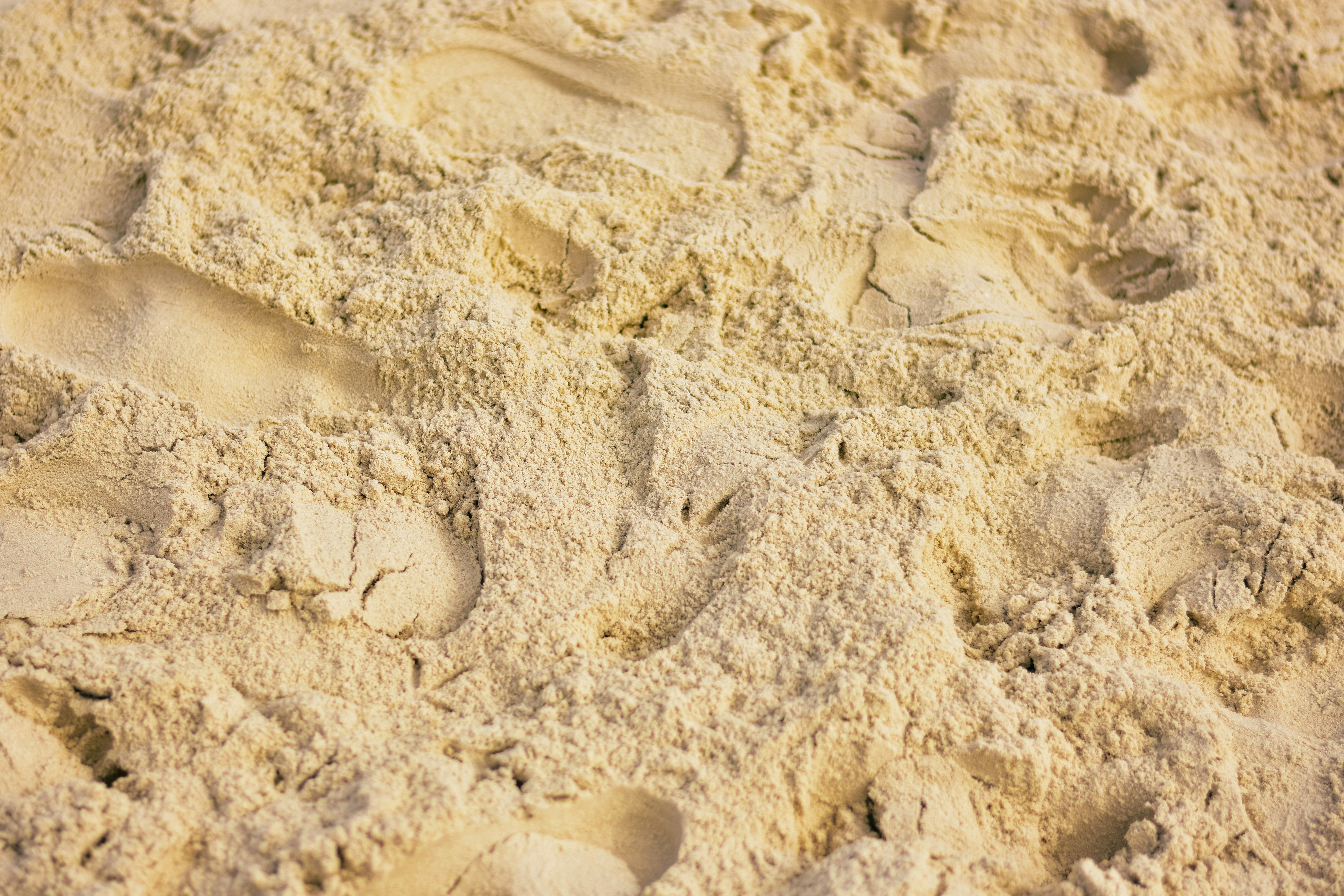A dog paw prints in the sand on a beach photo – Free Paraná Image on ...