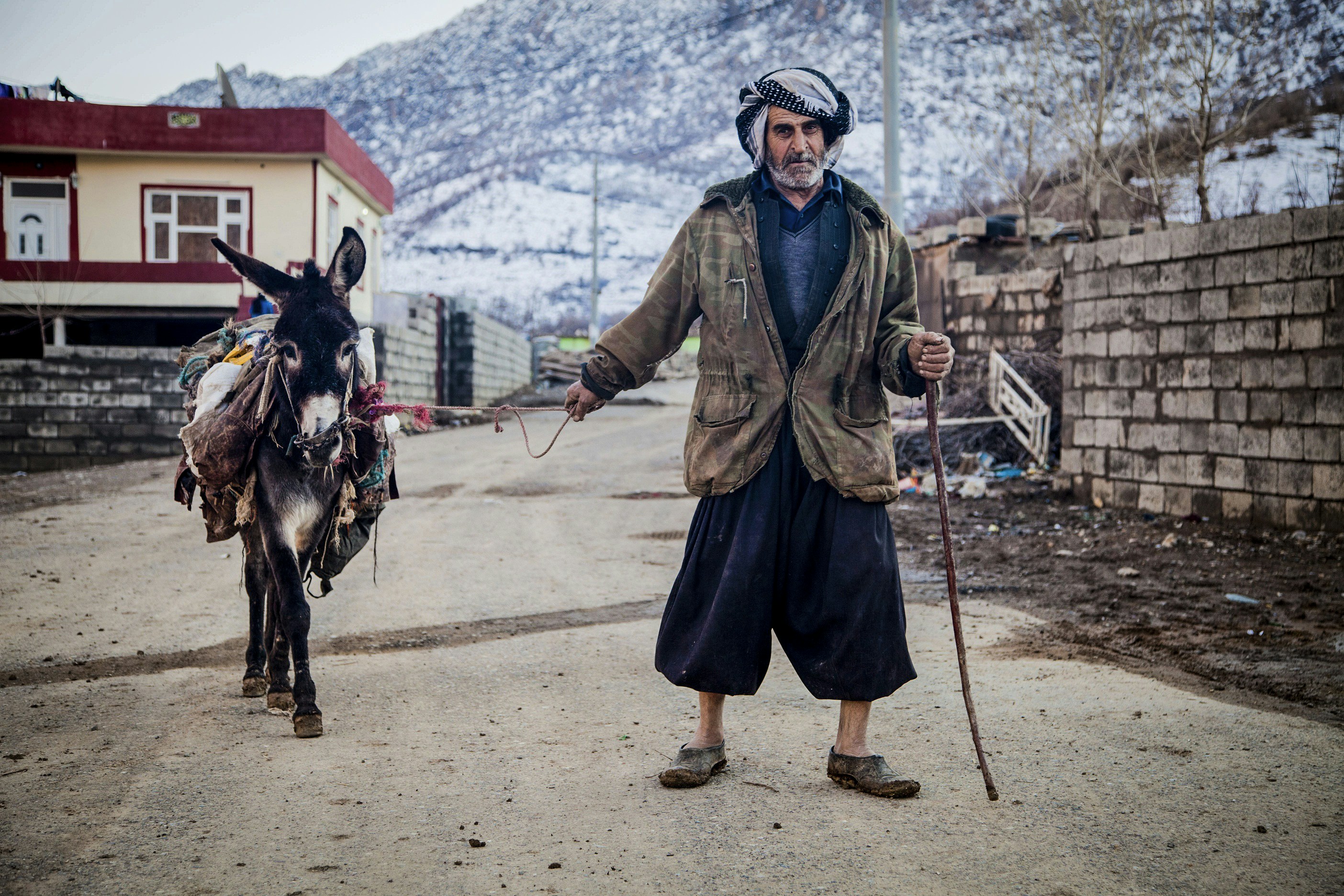 A man walking a donkey down a street photo – Free Iraq Image on Unsplash