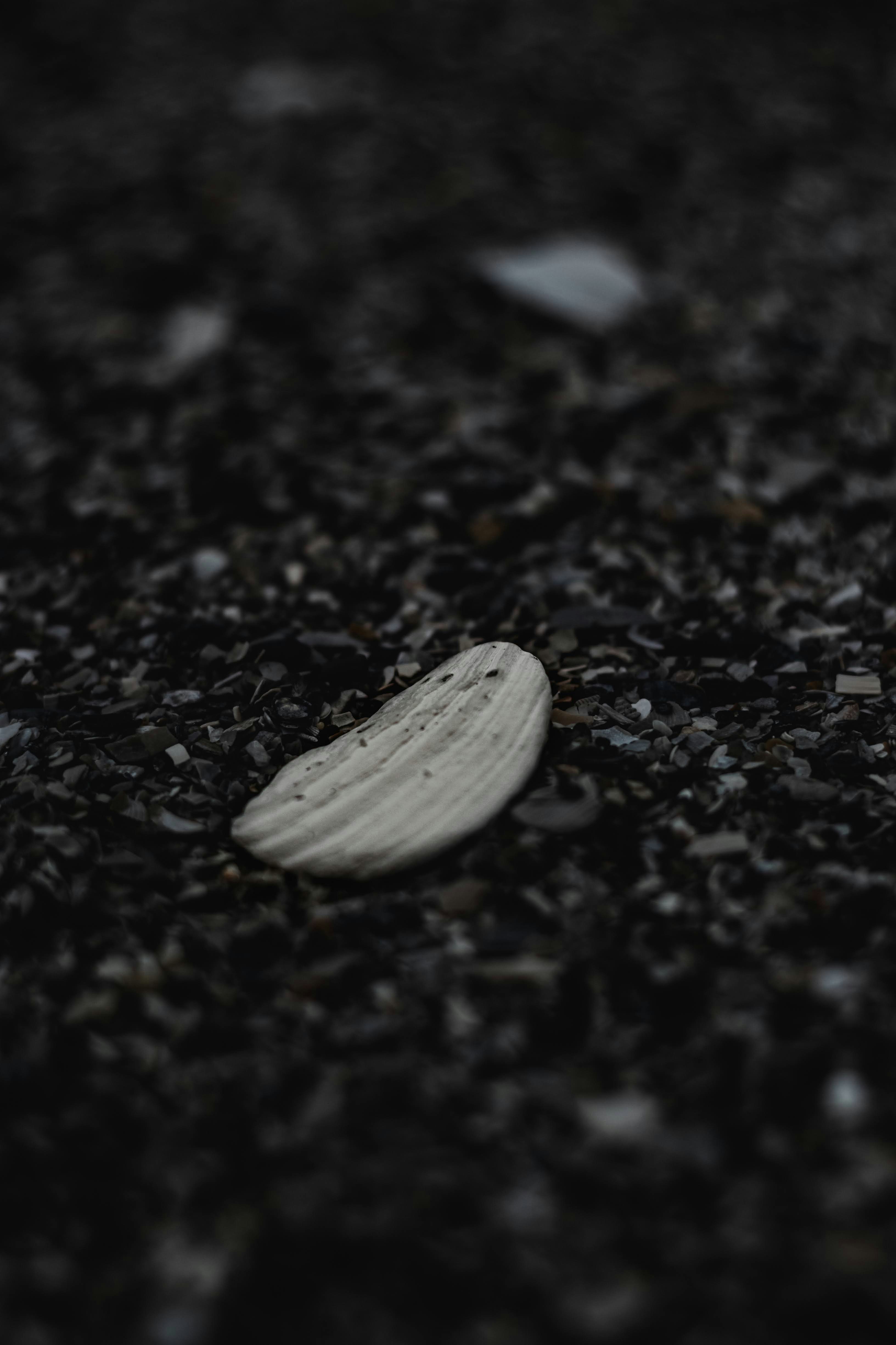 a small white object laying on the ground