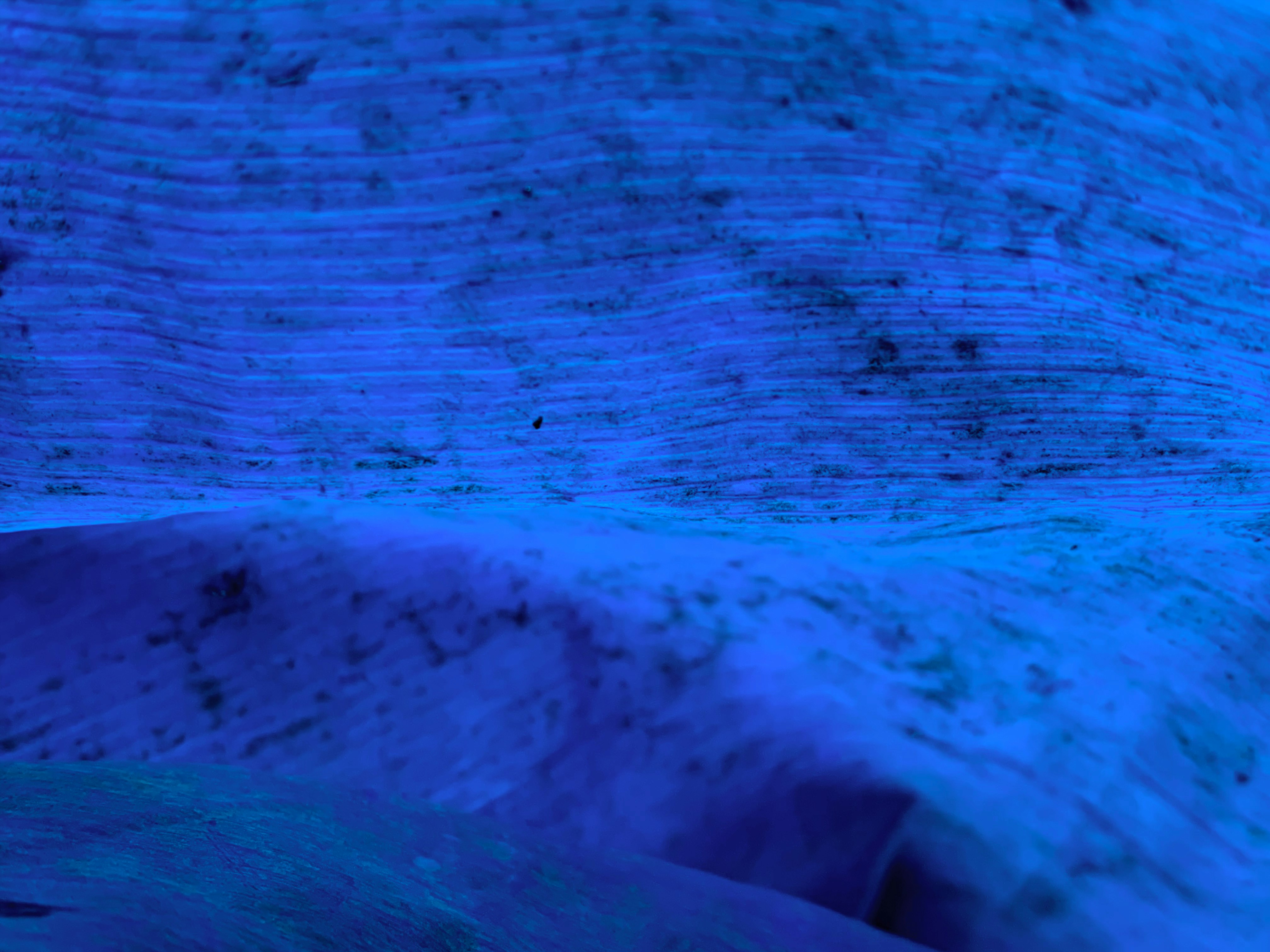 Plastic Background Pictures | Download Free Images on Unsplash