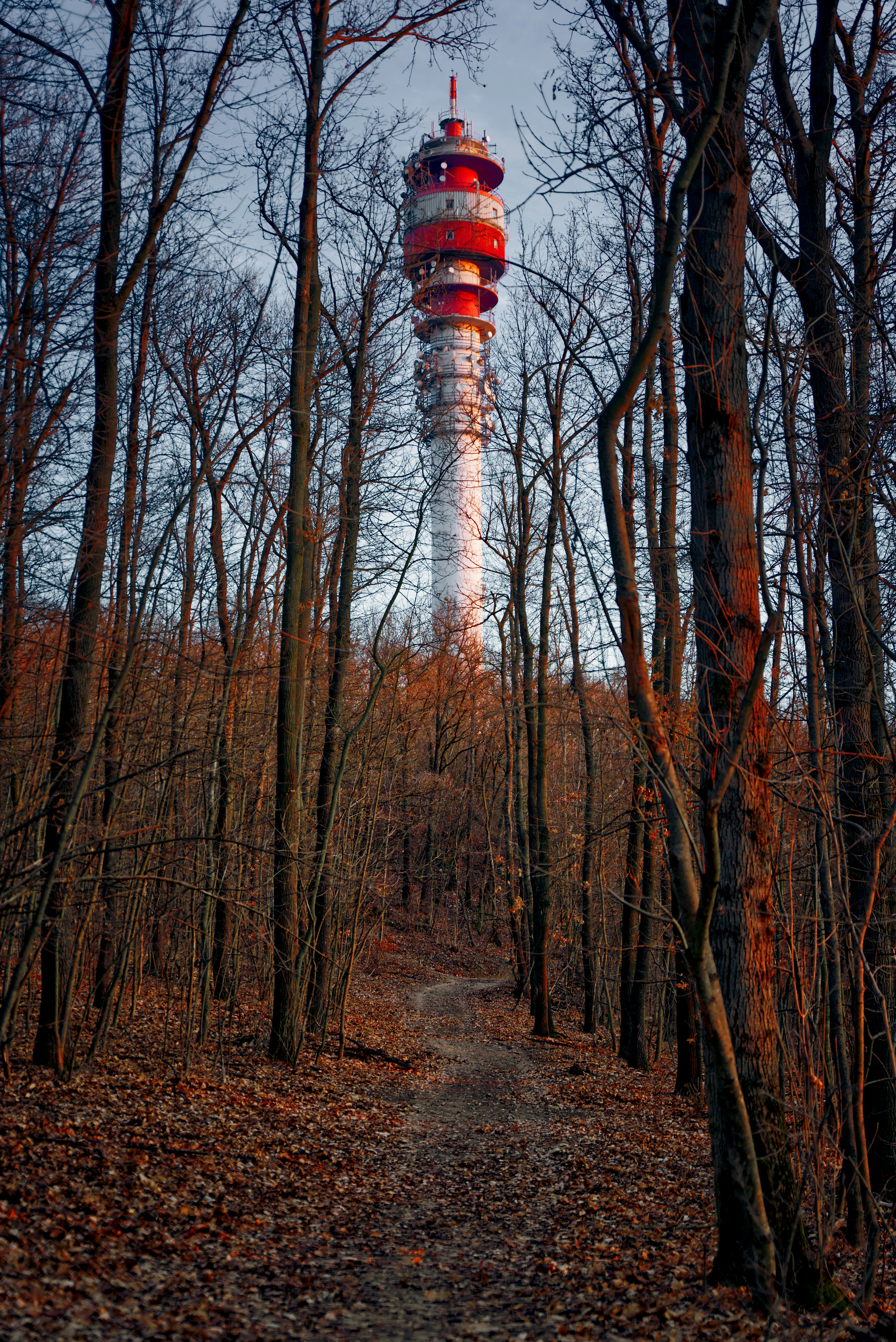 a red and white tower in the middle of a forest