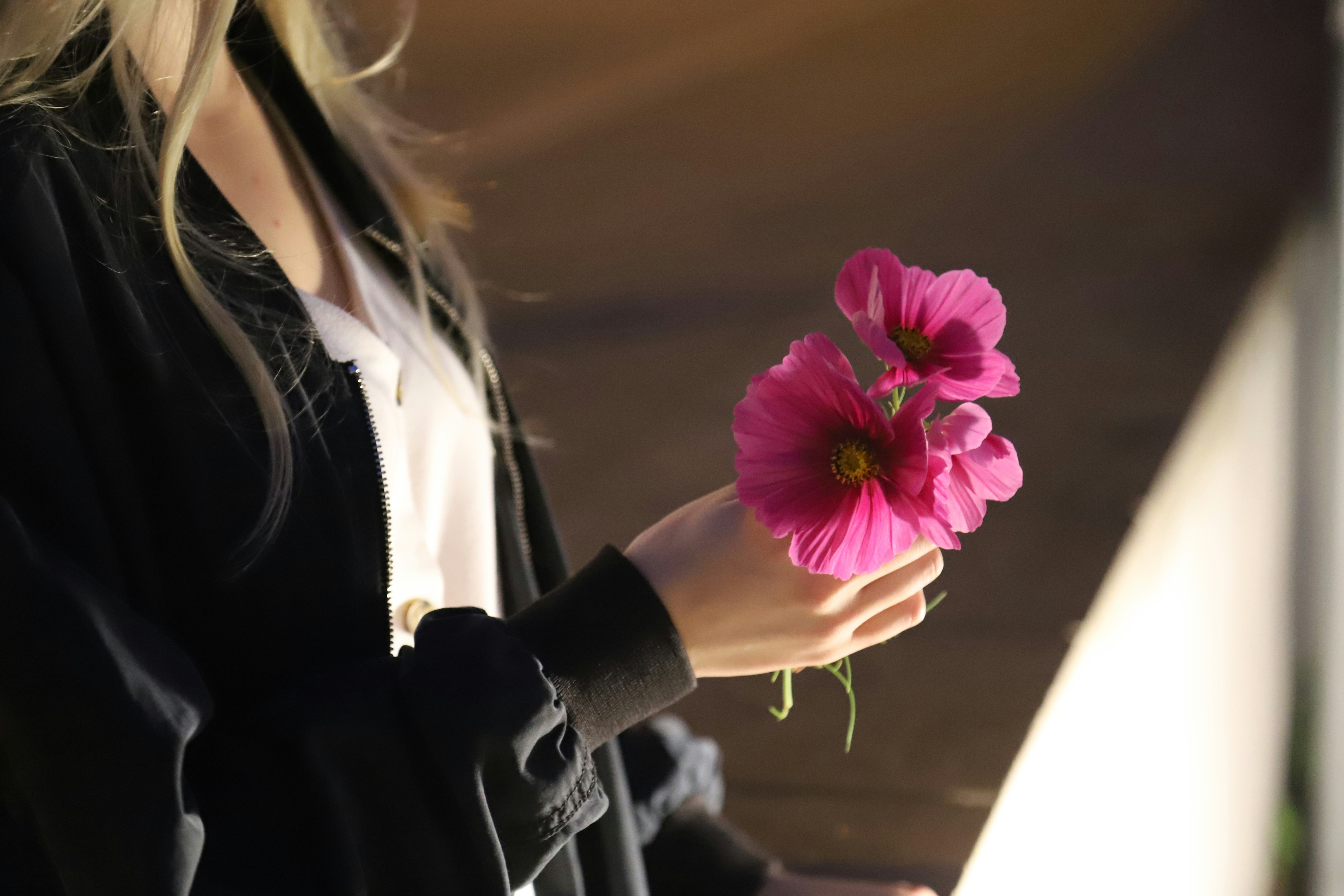 Pink Petals in Focus: A Quiet Handful of Color