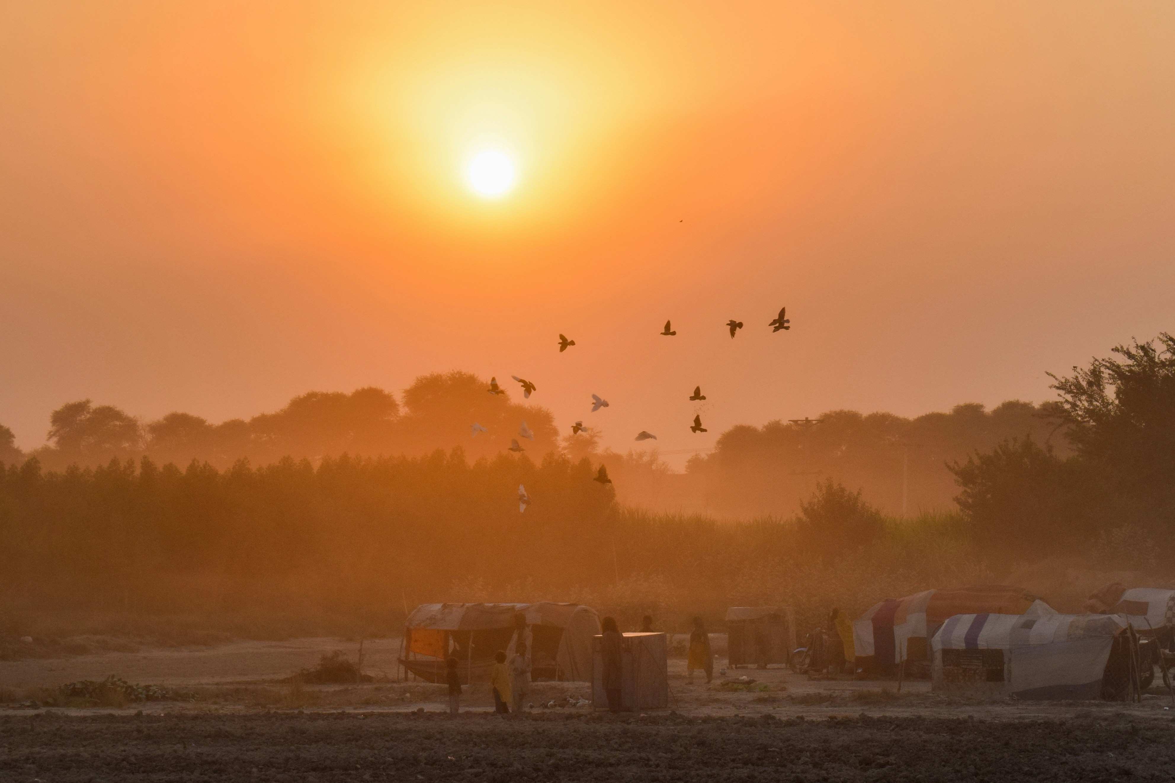 Dawn's Ember: Birds Lift Over a Desert Encampment