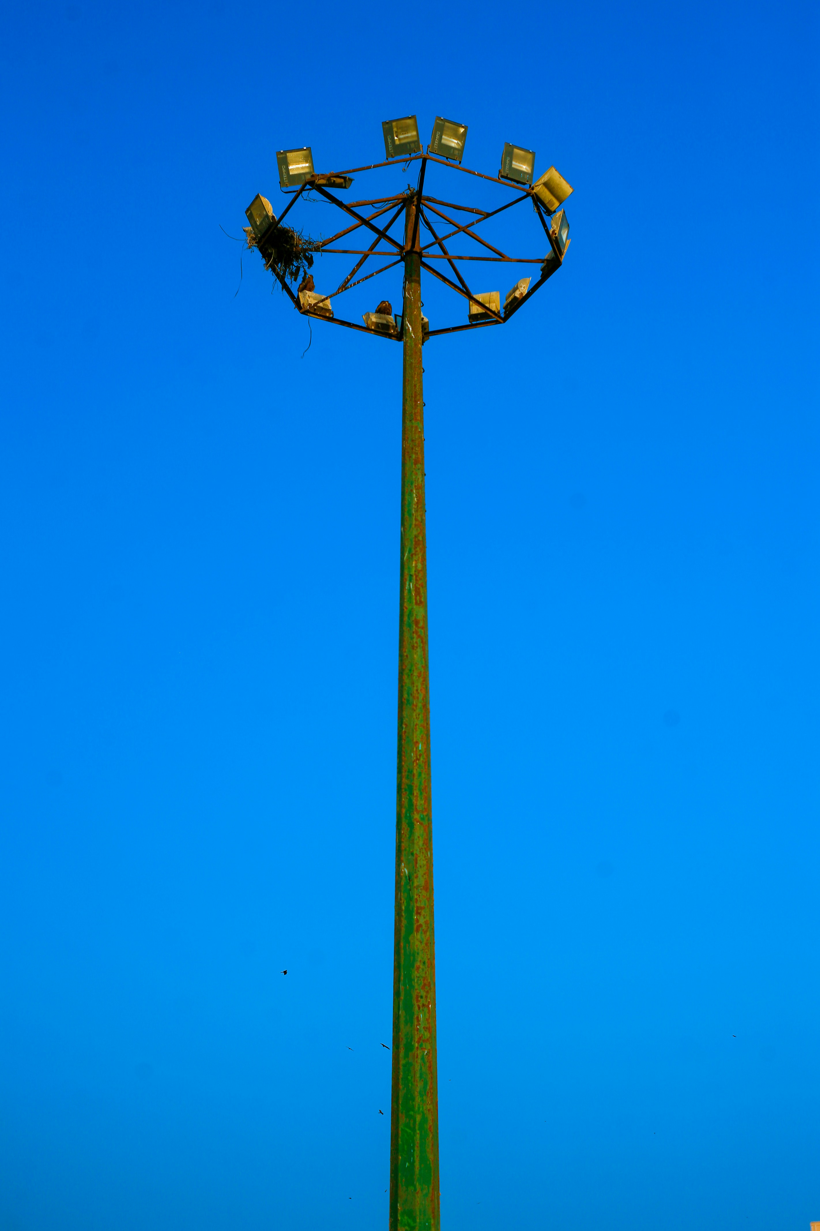 A tall green pole with a light on top of it photo – Free Blue Image on ...