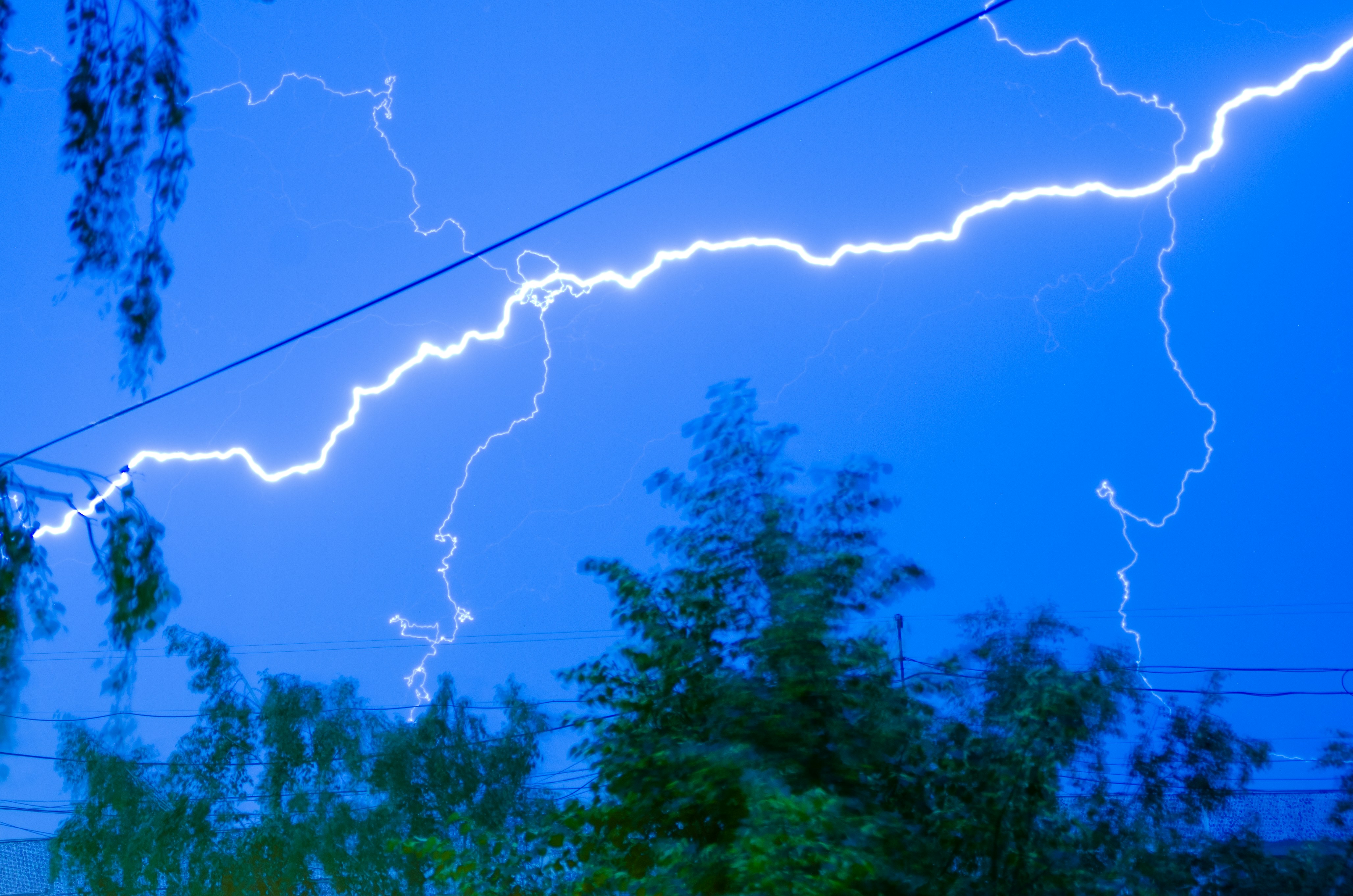 Azure Arc of Lightning Across a Quiet Treeline