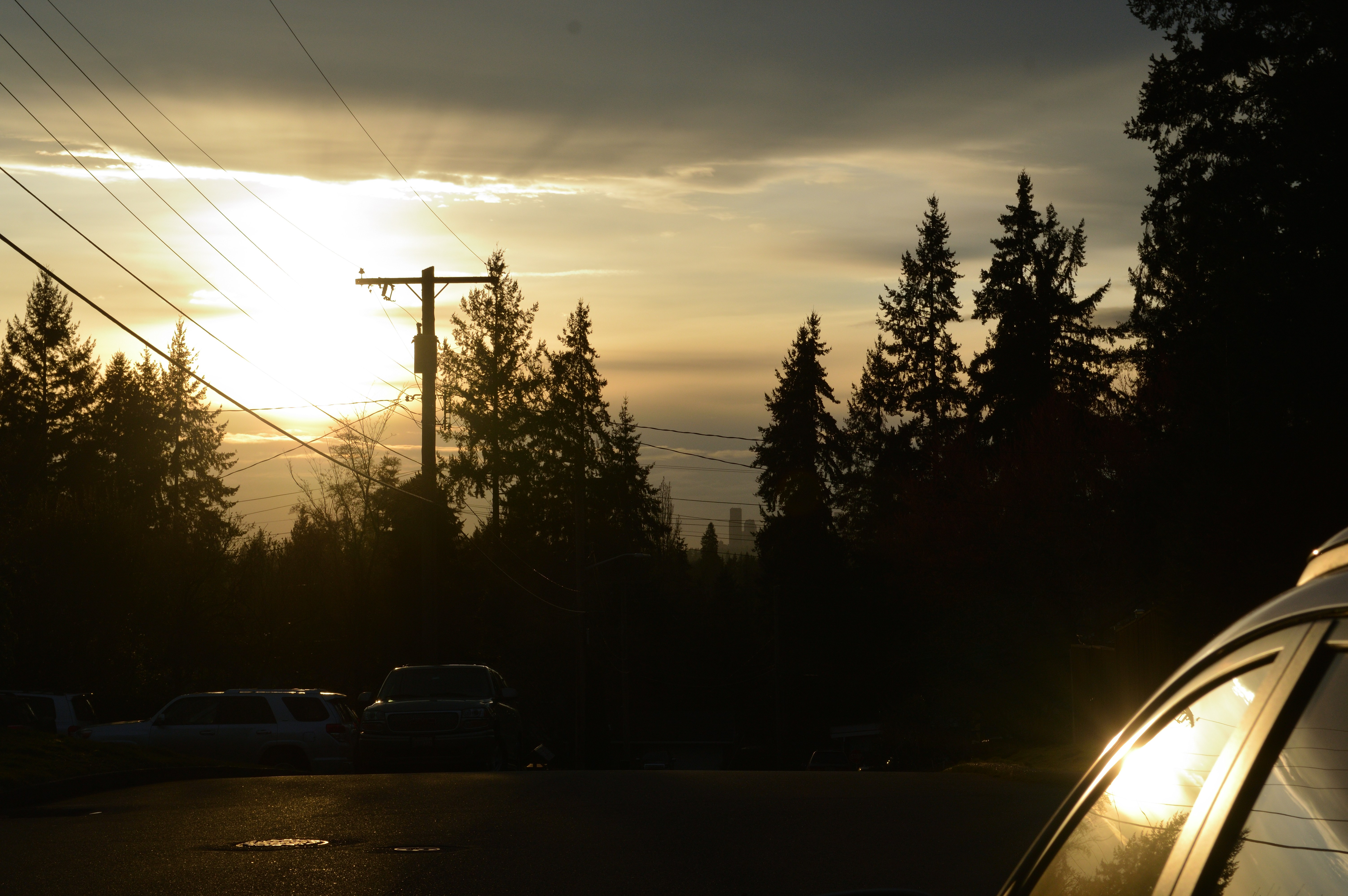 Dusk Silhouettes: Pines, Power Lines, and a Glinting Car in a Quiet Parking Lot
