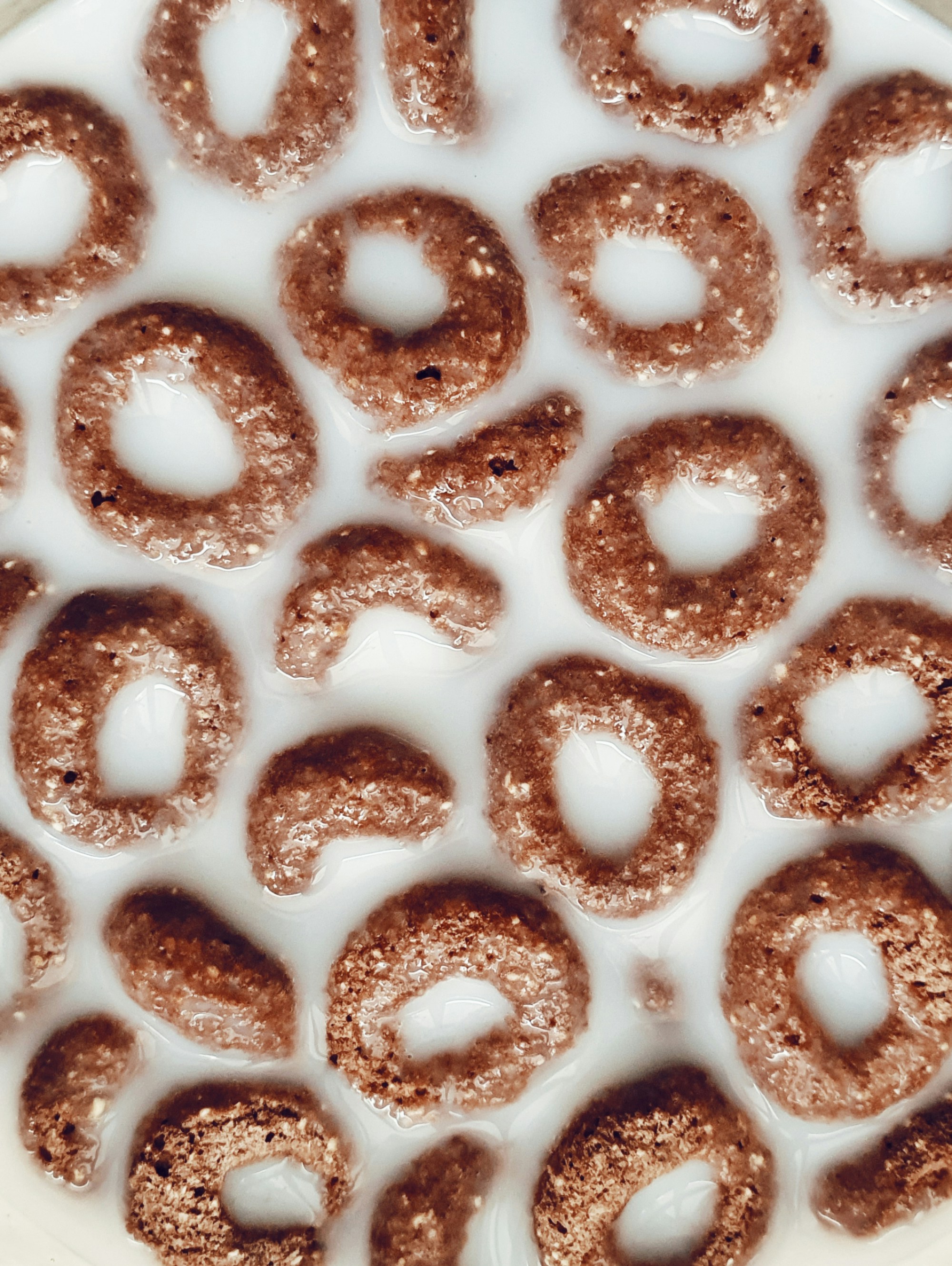 Close-up of cocoa-ring cereals floating in milk, highlighting textured surfaces and the pale, creamy backdrop. This is a macro photograph.