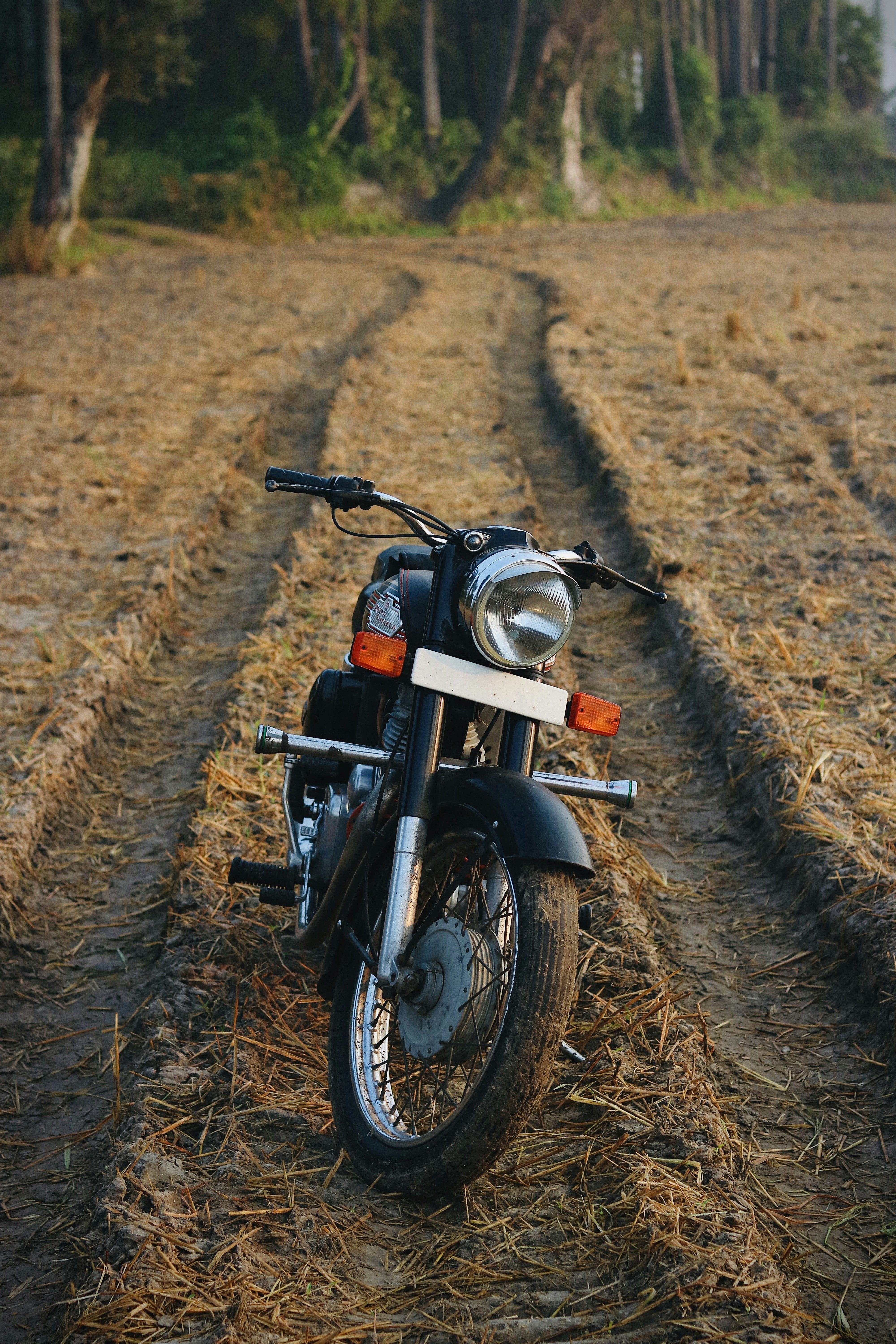 Classic motorcycle resting on a sunlit path through golden straw fields, surrounded by trees. The scene evokes a sense of adventure and nostalgia.