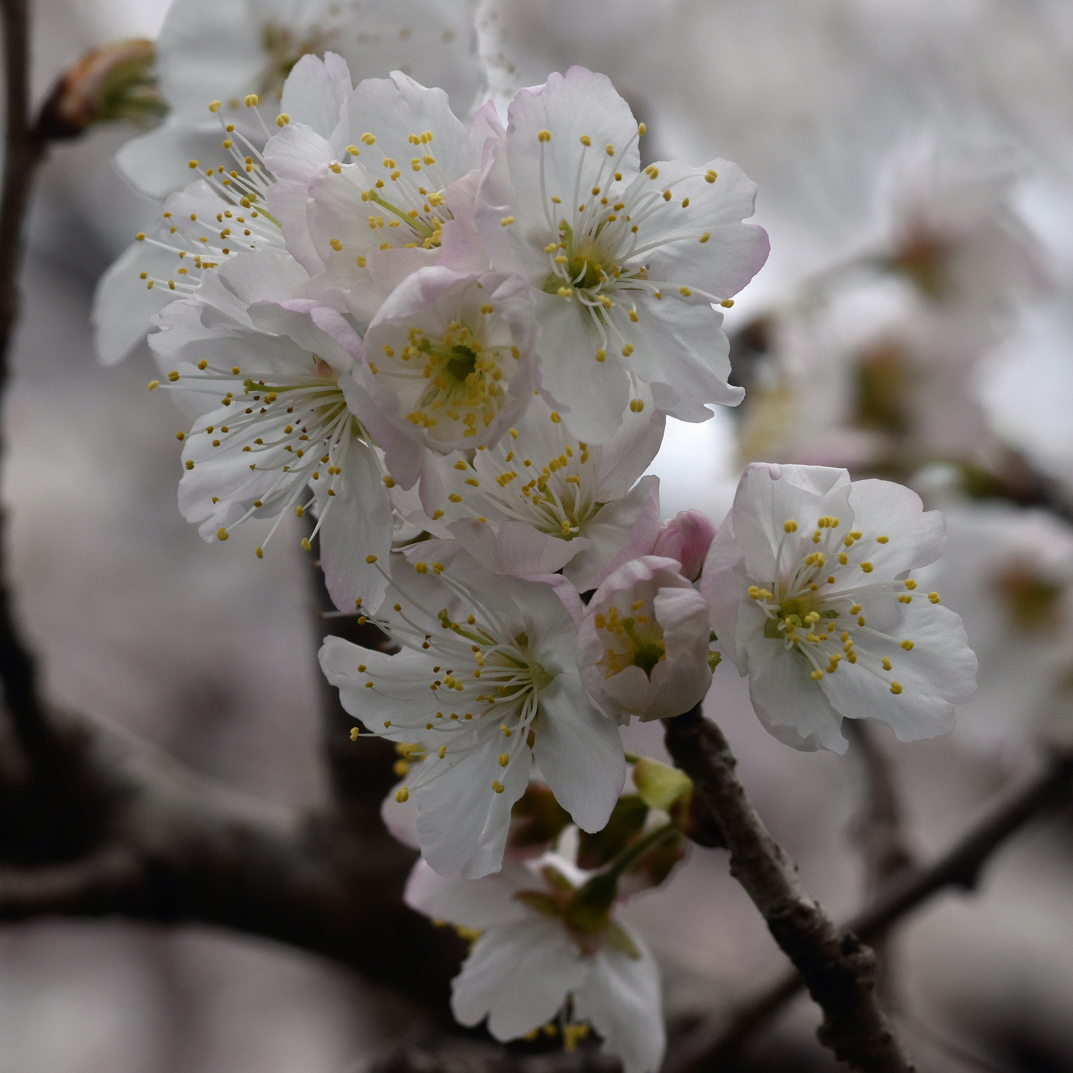 Hello Spring 2022 Pictures | Download Free Images on Unsplash