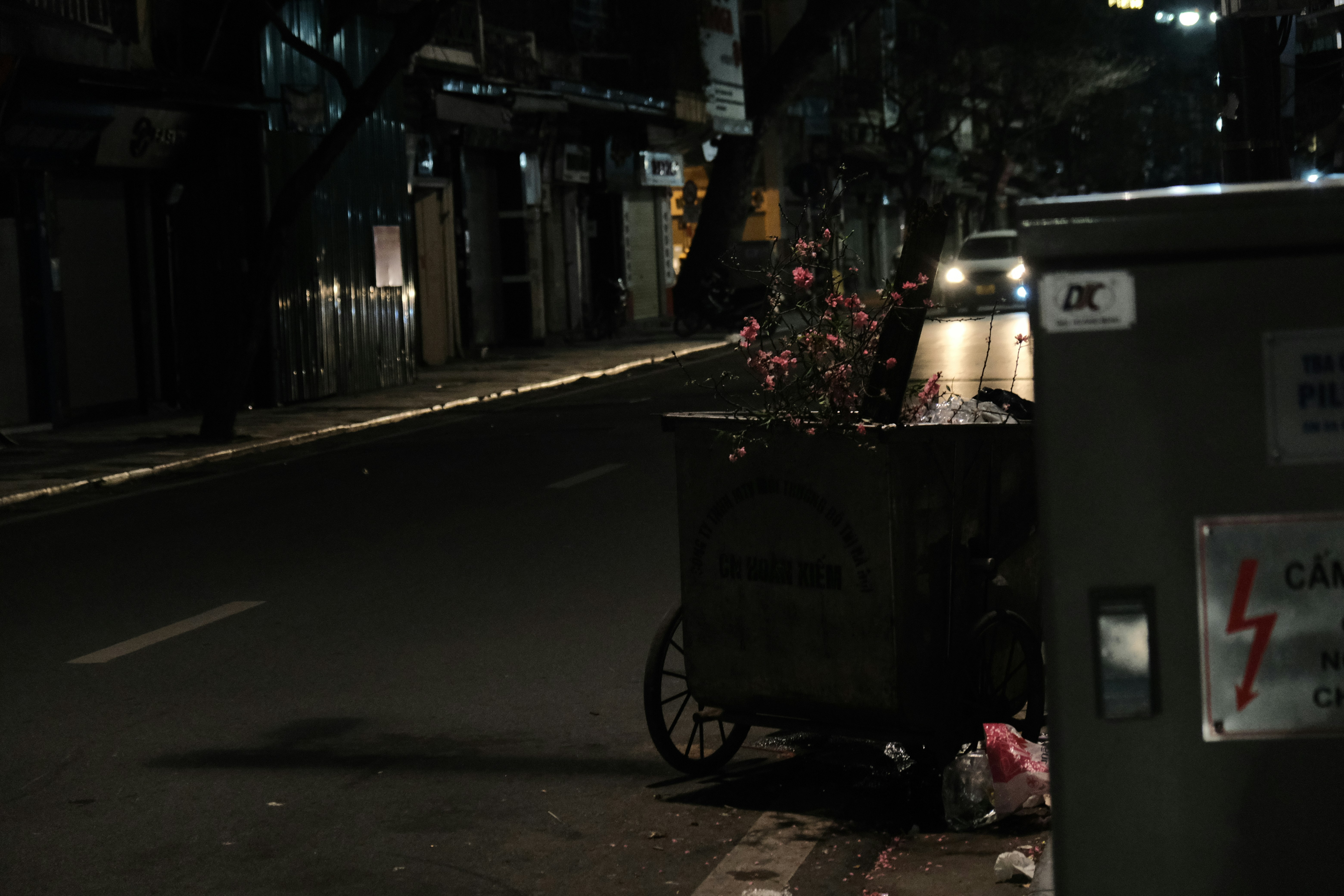 Curbside Quiet: Pink Blossoms by a Street Dumpster Under Dim Neon