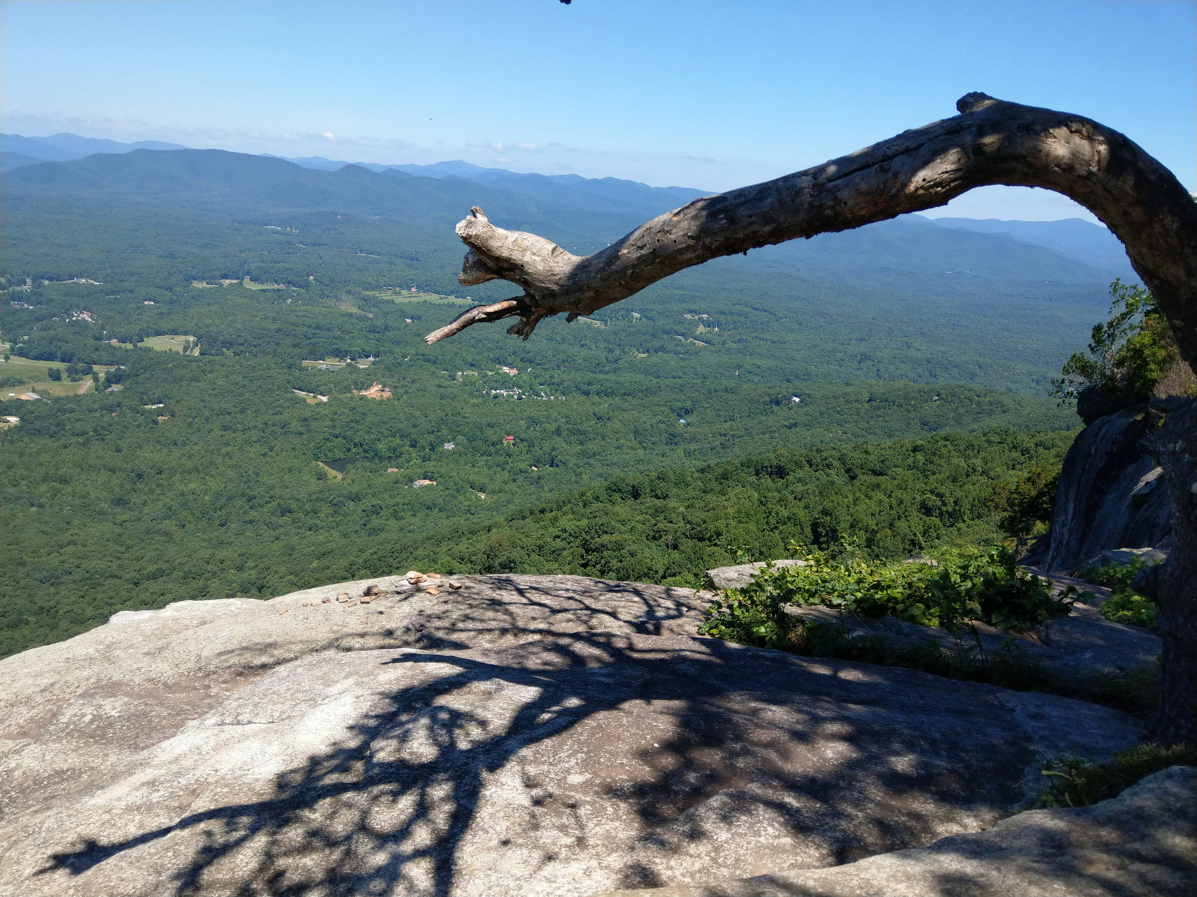 Weathered tree branch arches over a rocky cliff, casting shadows on the granite as a dense green valley and distant mountains unfold below.