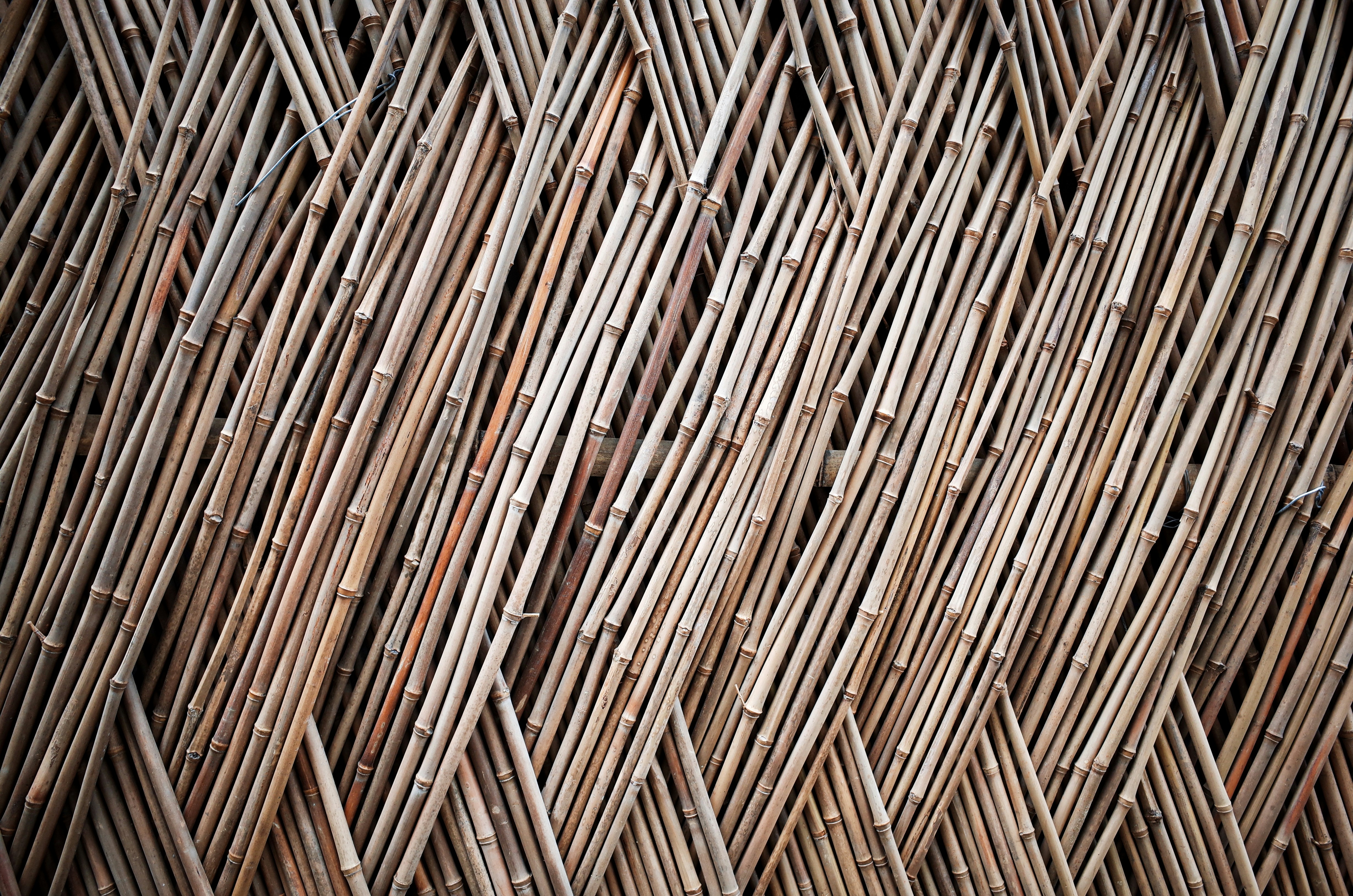 A close up view of a bamboo wall photo – Free 상하이 시 중국 Image on Unsplash