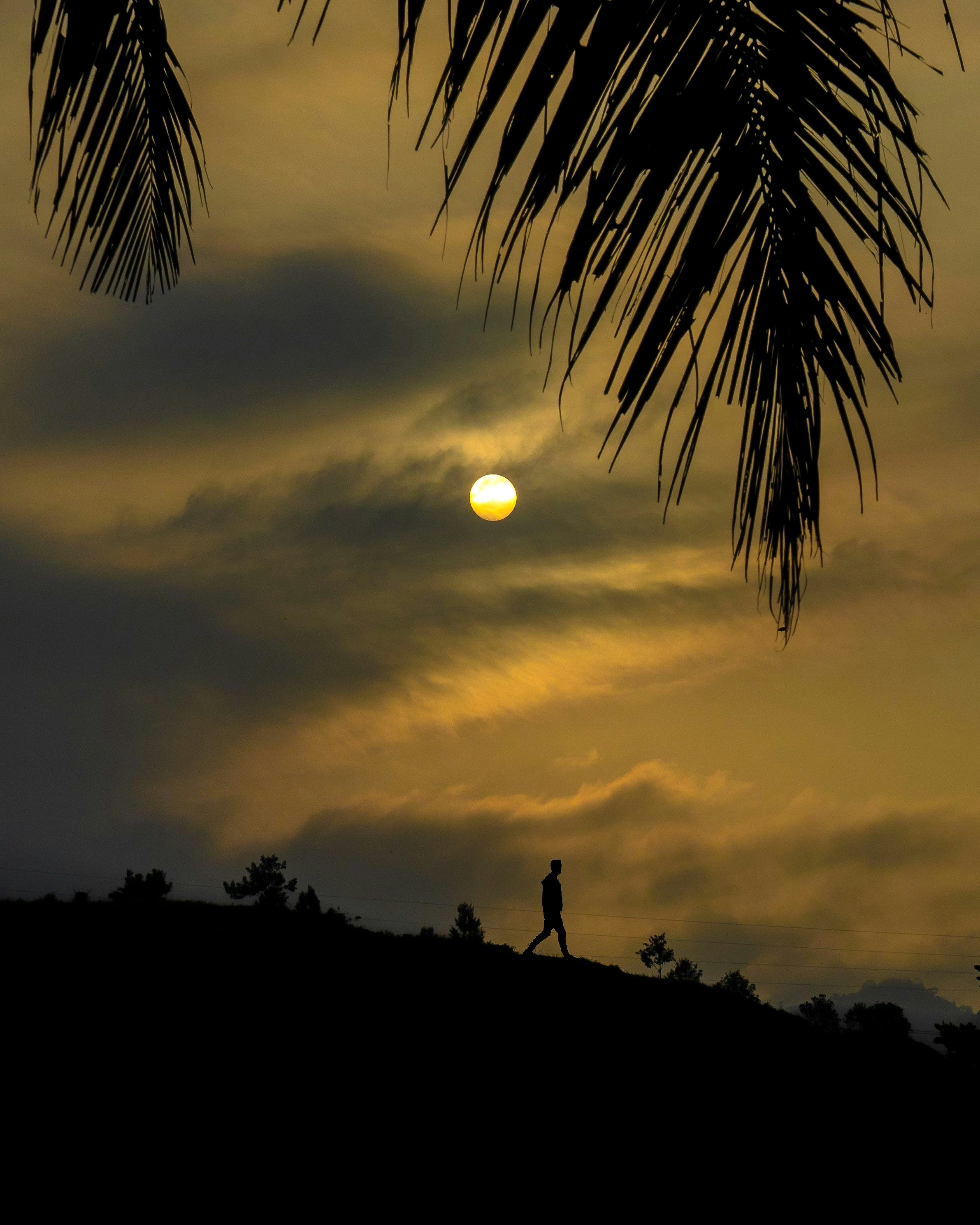 A person walking on a hill with the sun in the background photo – Free ...