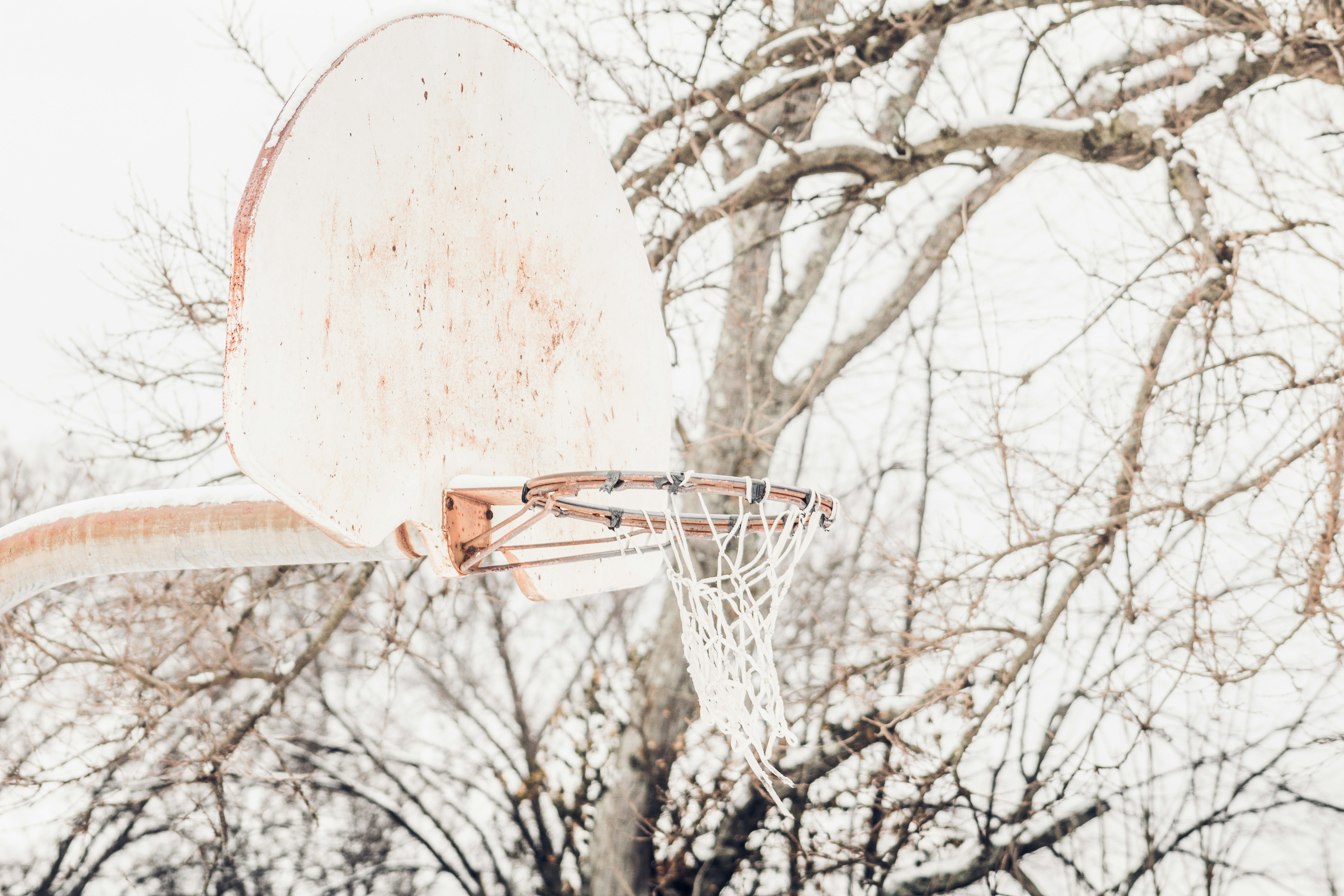 A basketball going through the rim of a basketball hoop photo – Free ...