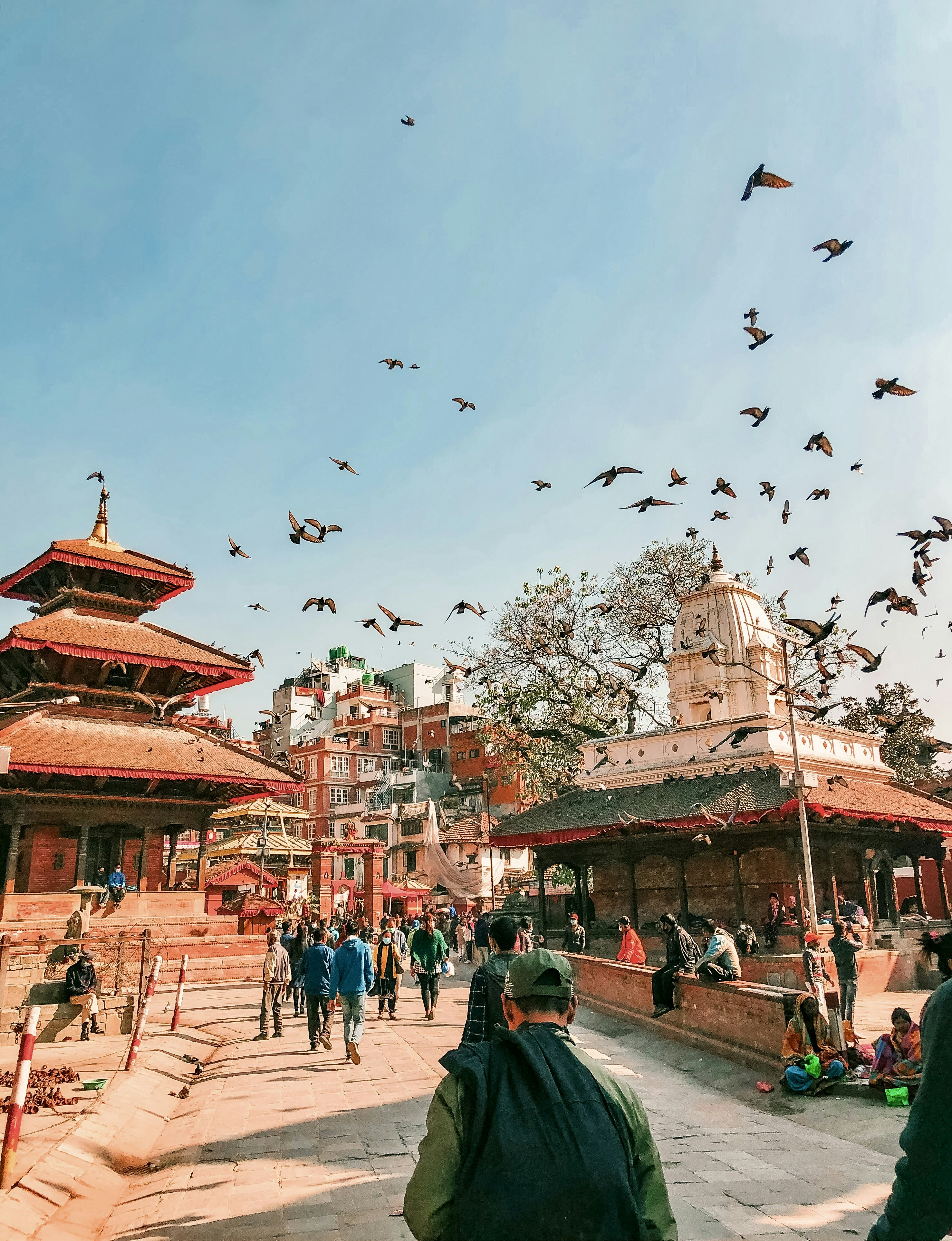 Durbar Square with flying pigeons, Kathmandu, Nepal | a flock of birds flying over a building