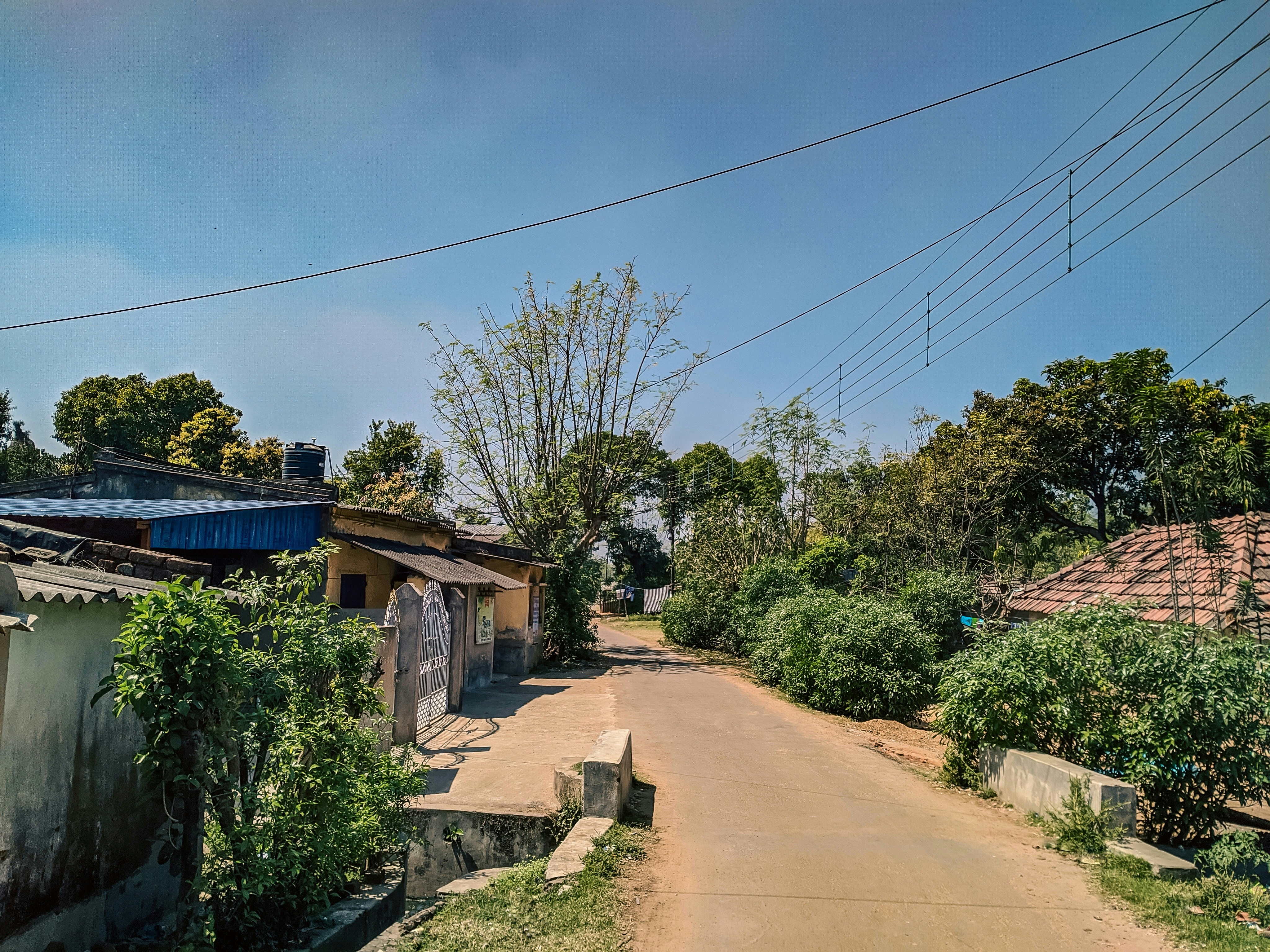 a dirt road with houses and trees in the background