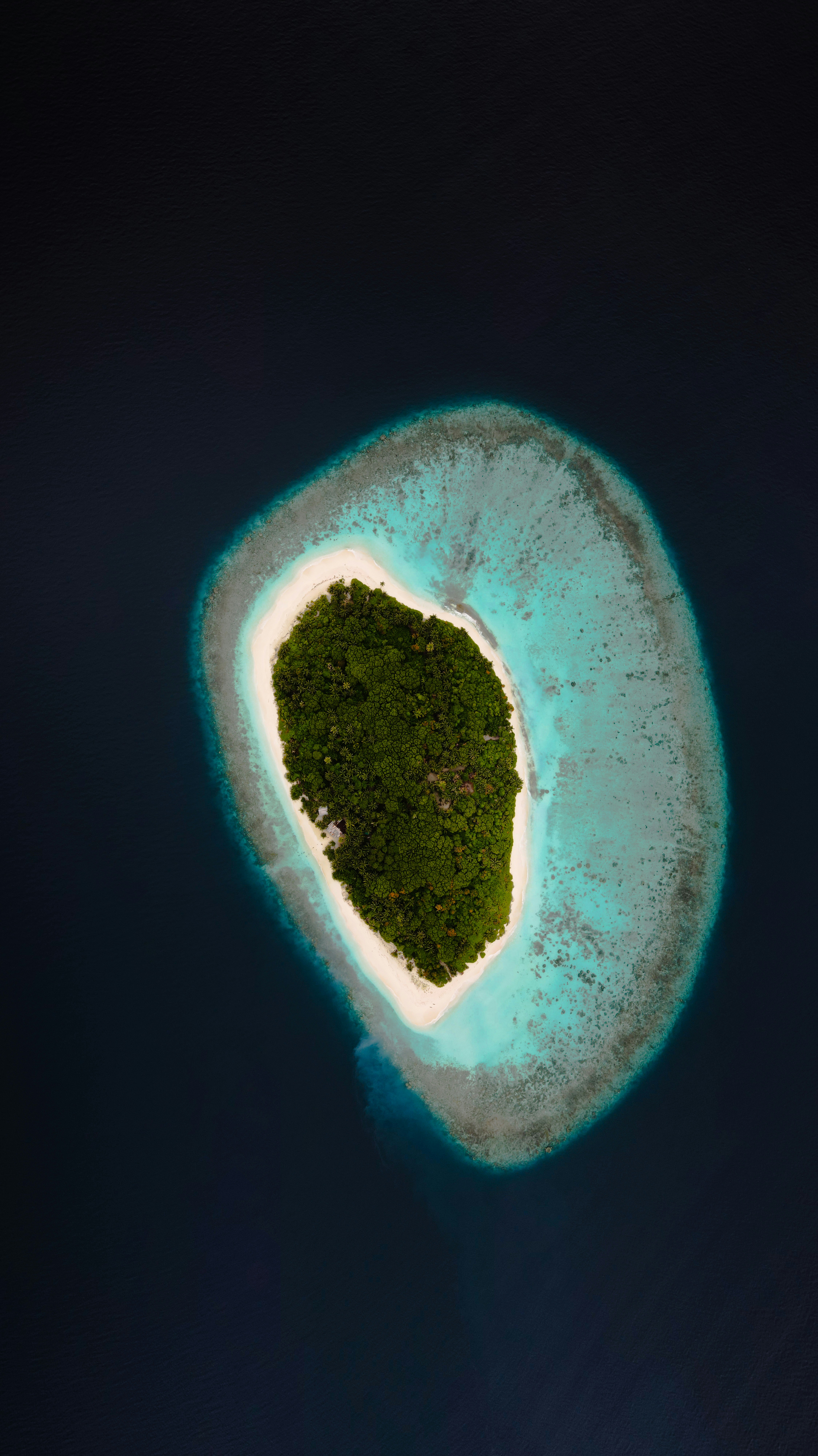 Aerial view of a lush, green island surrounded by vibrant turquoise waters and a sandy beach. The contrast between the island and ocean highlights its secluded beauty.