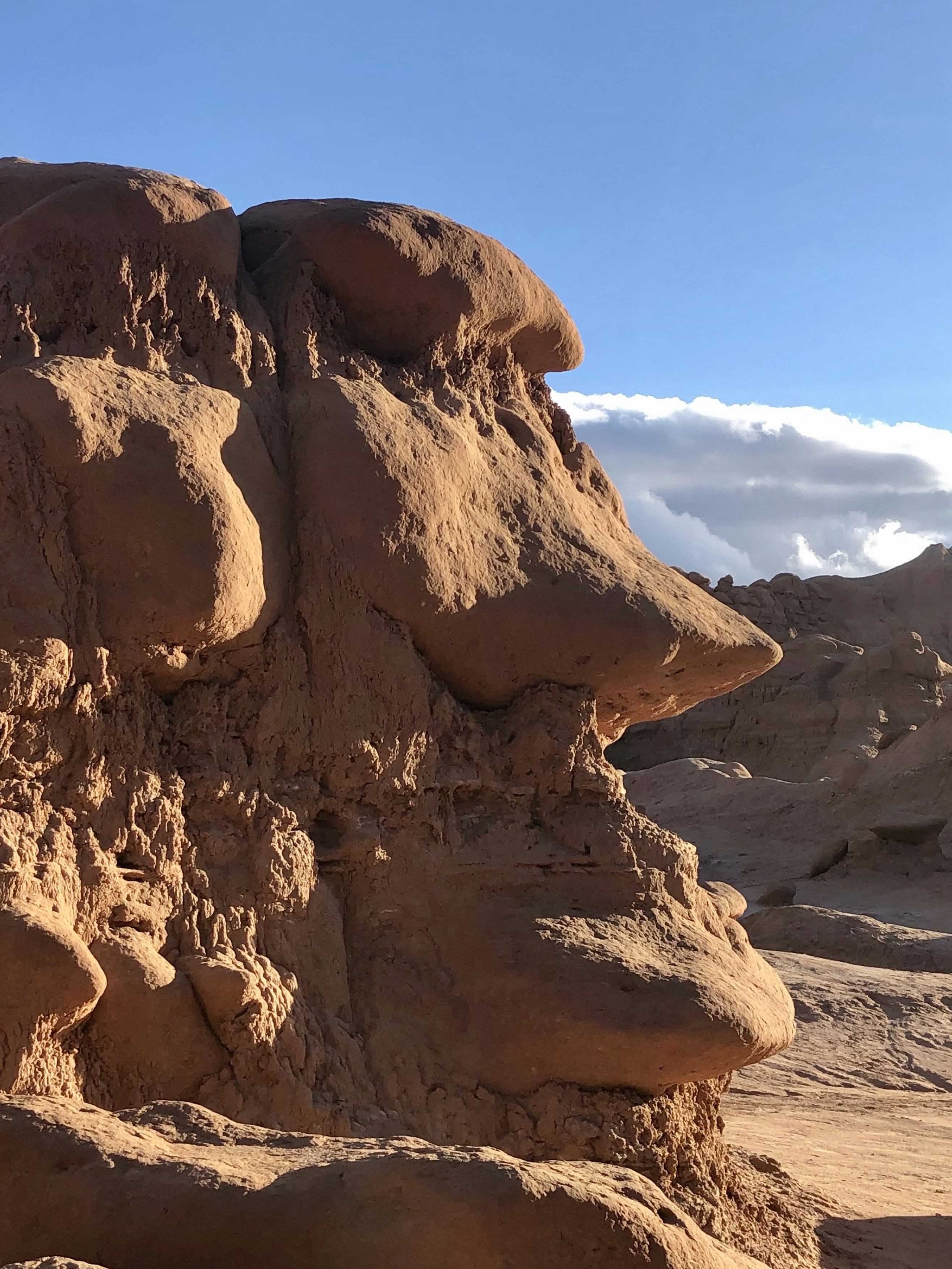 Stone Face 