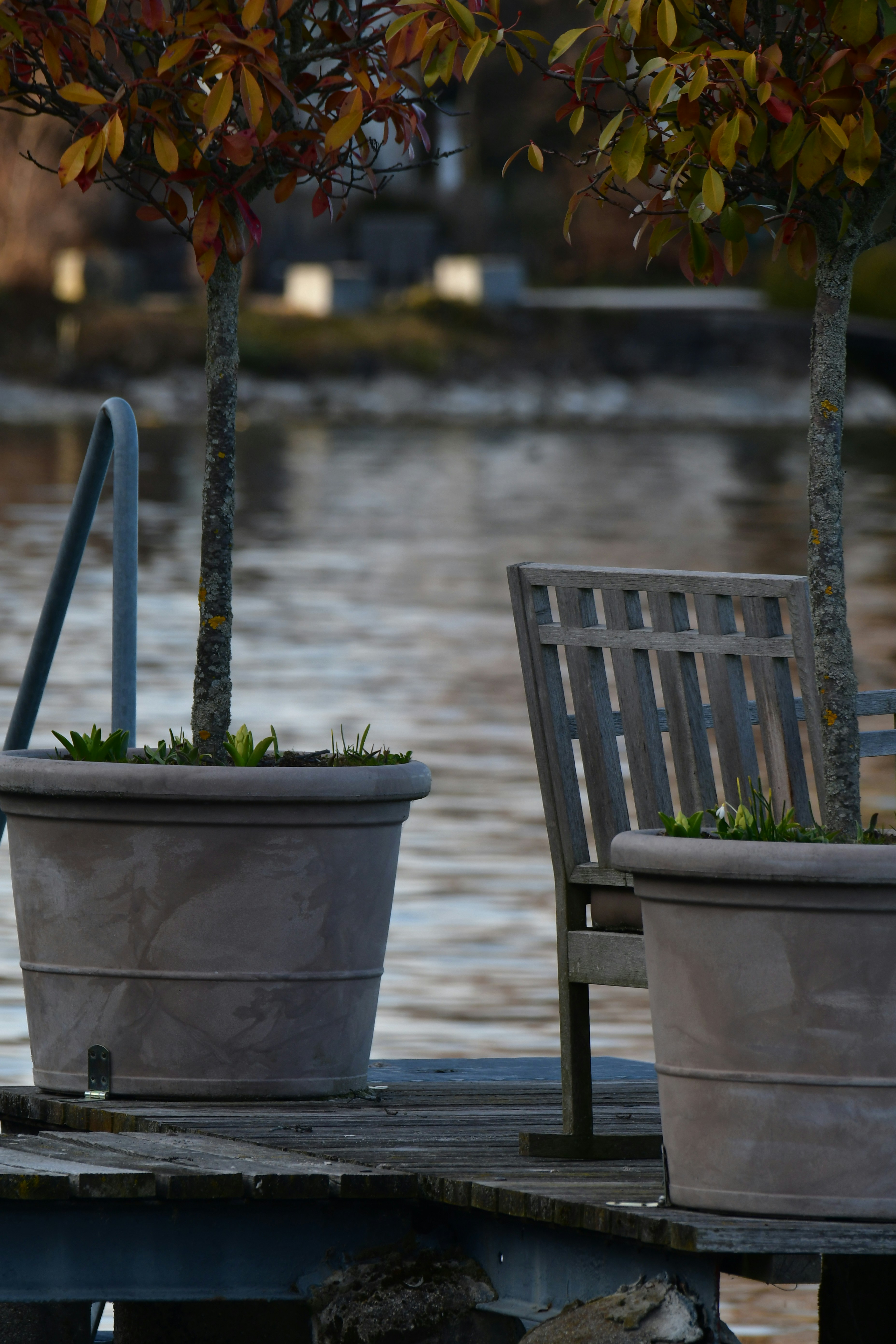 Quiet Docks: Potted Trees and Weathered Chair by the Water