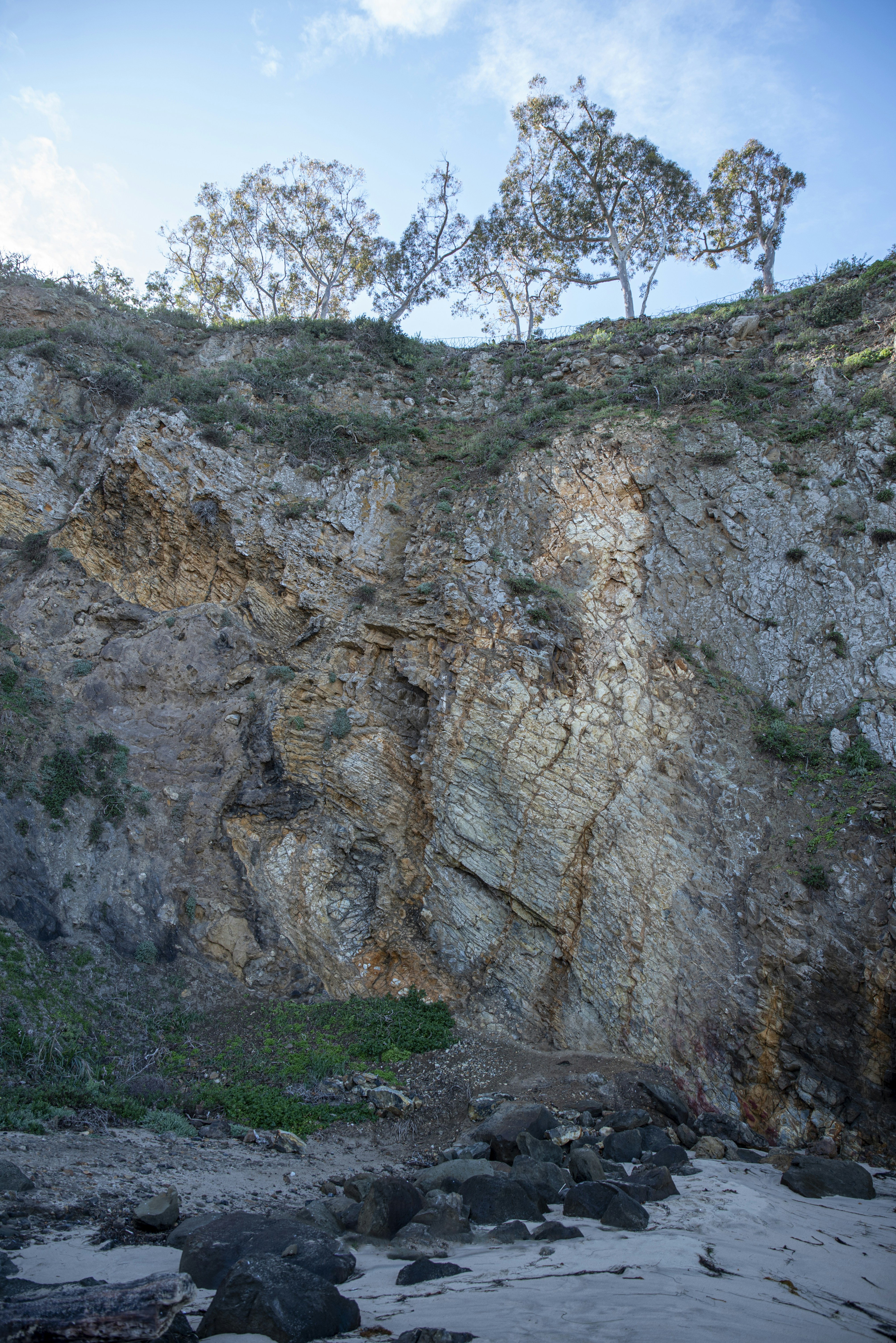 A rocky cliff with a tree on top of it photo – Free Grey Image on Unsplash
