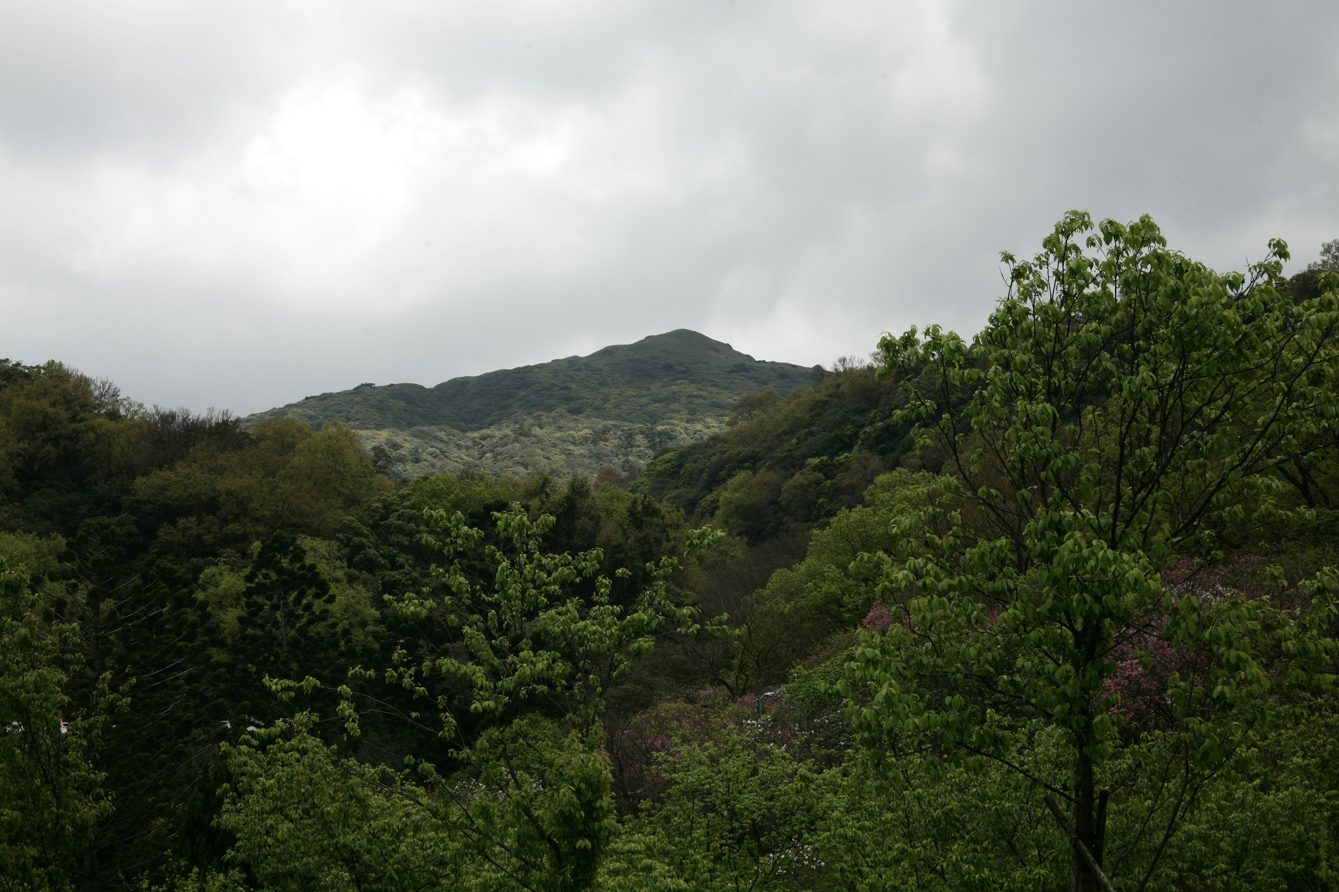 Lush green foliage surrounds a distant mountain peak under a cloudy sky, illustrating the tranquility of nature. The scene captures the interplay of light and shadow among the trees.