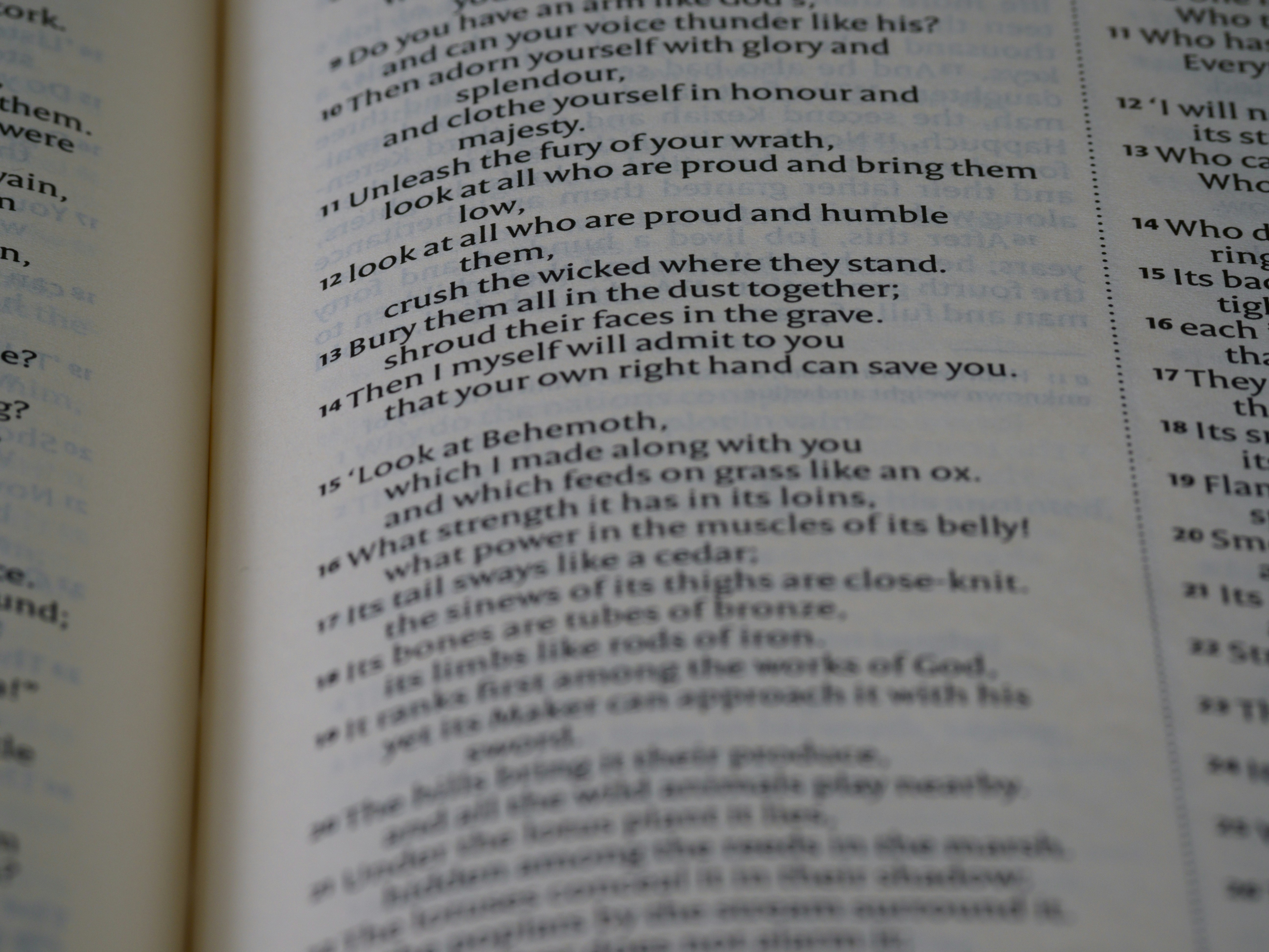 A close up of an open book with words on it photo – Free Grey Image on ...