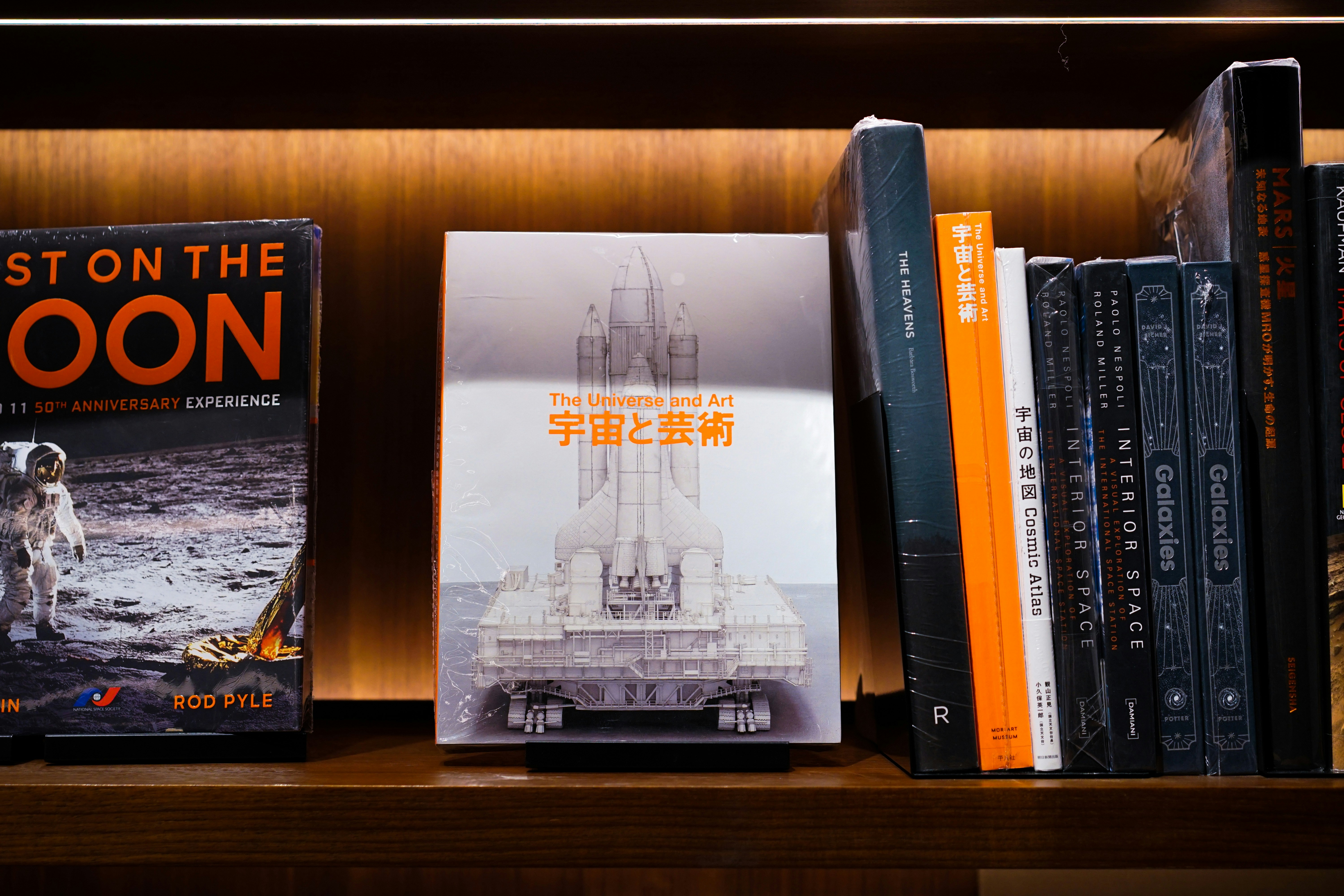 A book titled 'The Chinese and Art' featuring a space shuttle illustration on a shelf filled with various titles about space exploration.