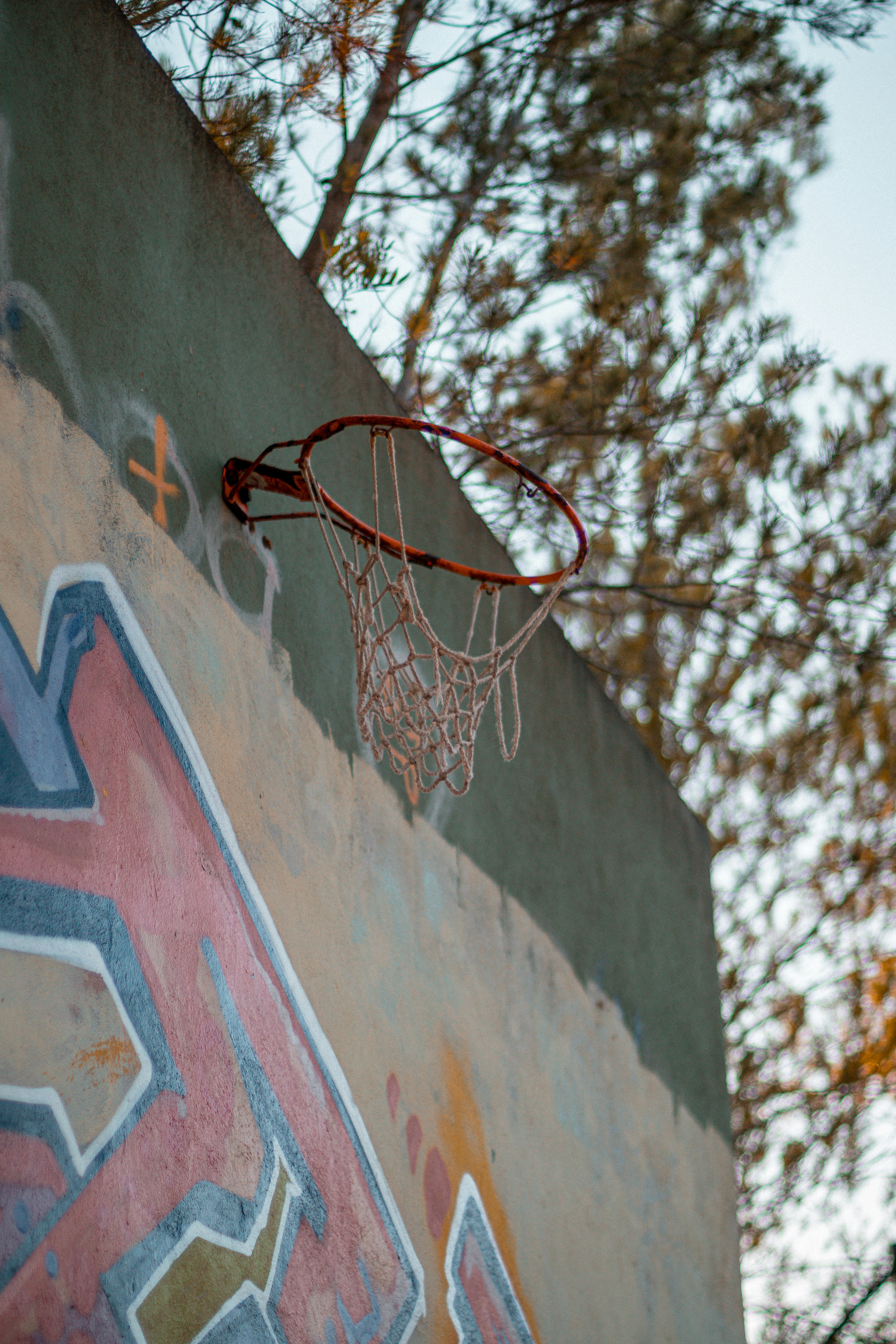 Rusted Hoop Over Graffiti: An Urban Portrait of Texture and Light