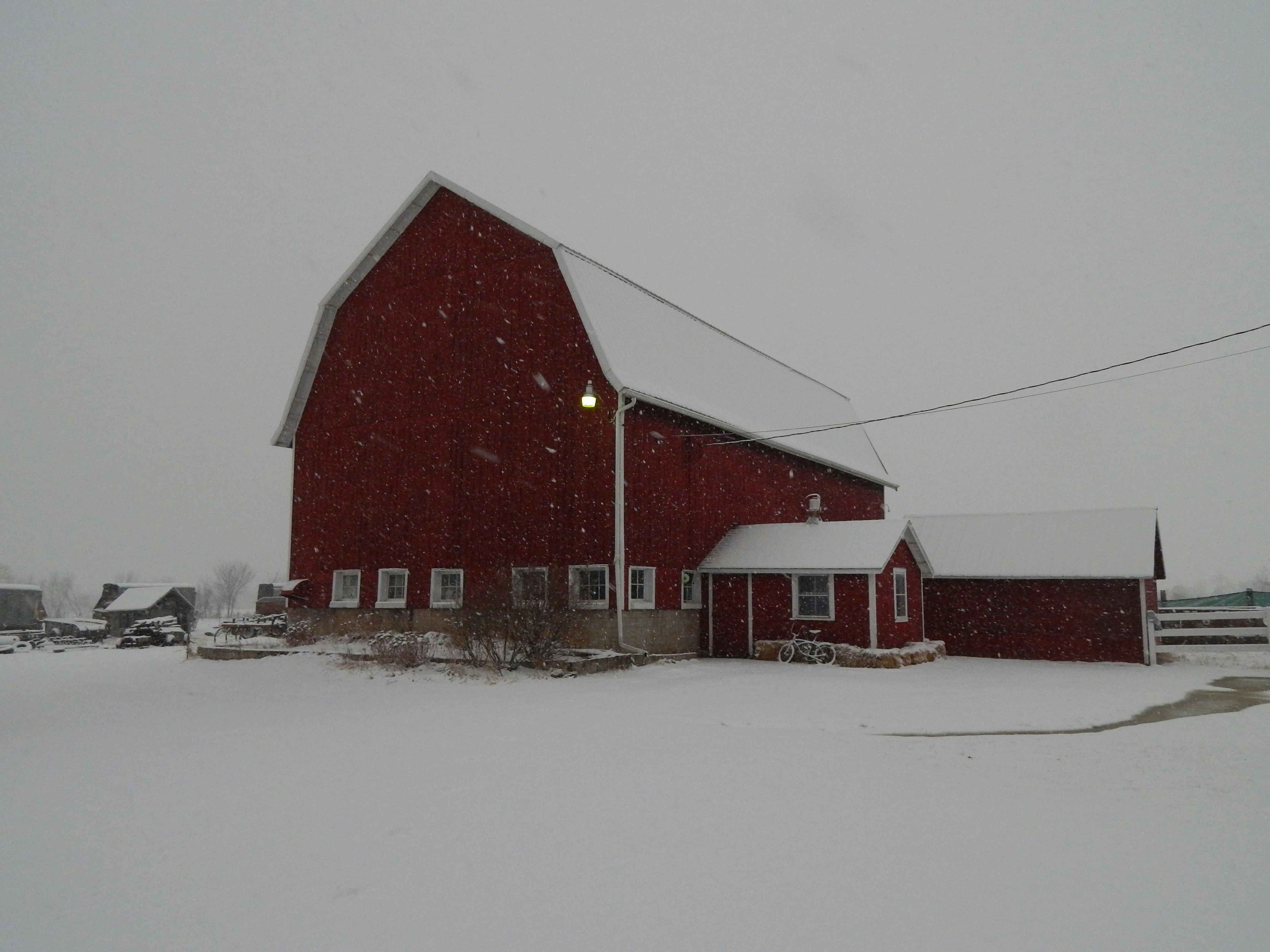 Silent Embrace of Winter: A Farmstead's Resilience