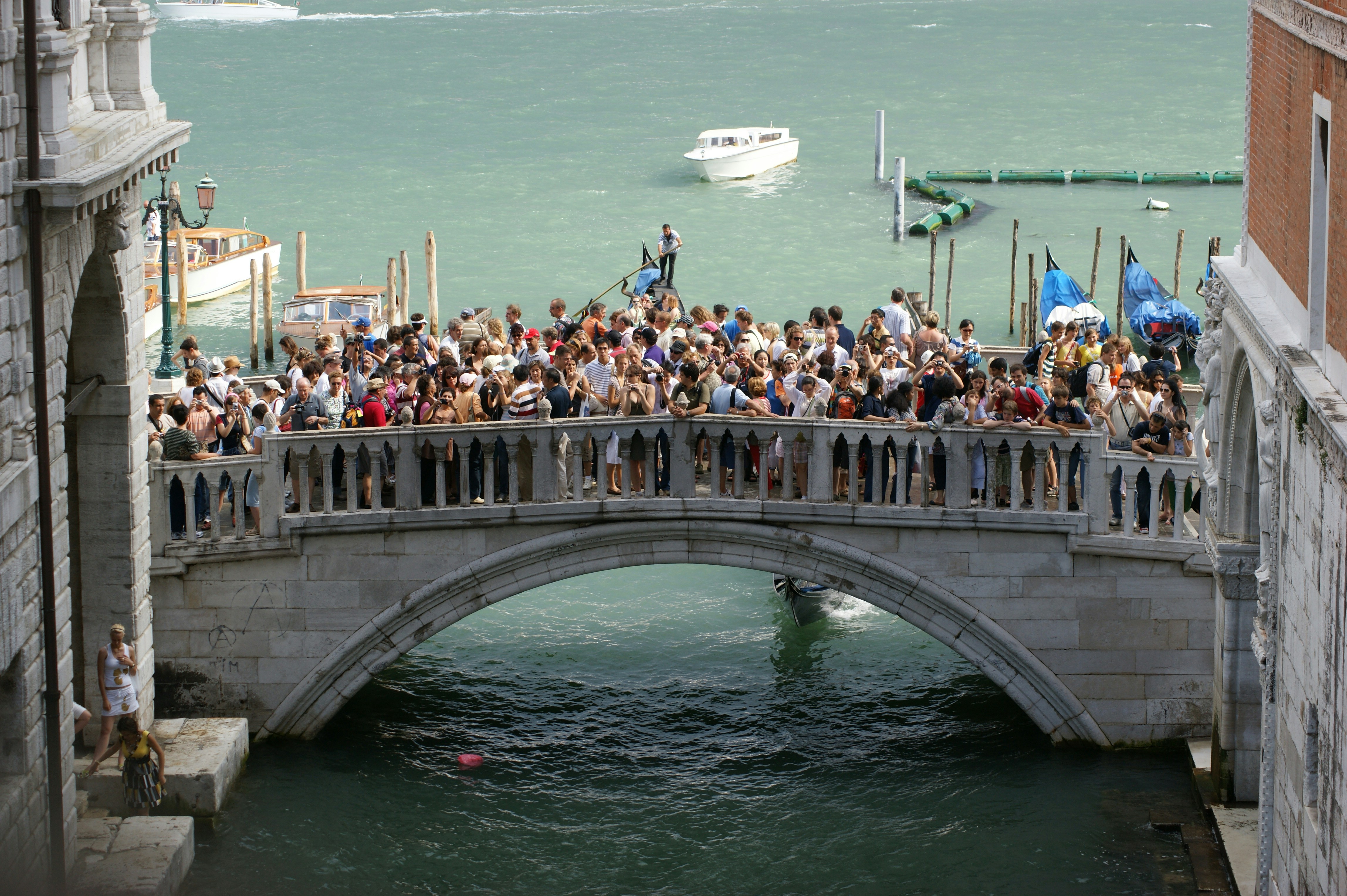 Crowd on Venice's Rialto Bridge: a living canal panorama