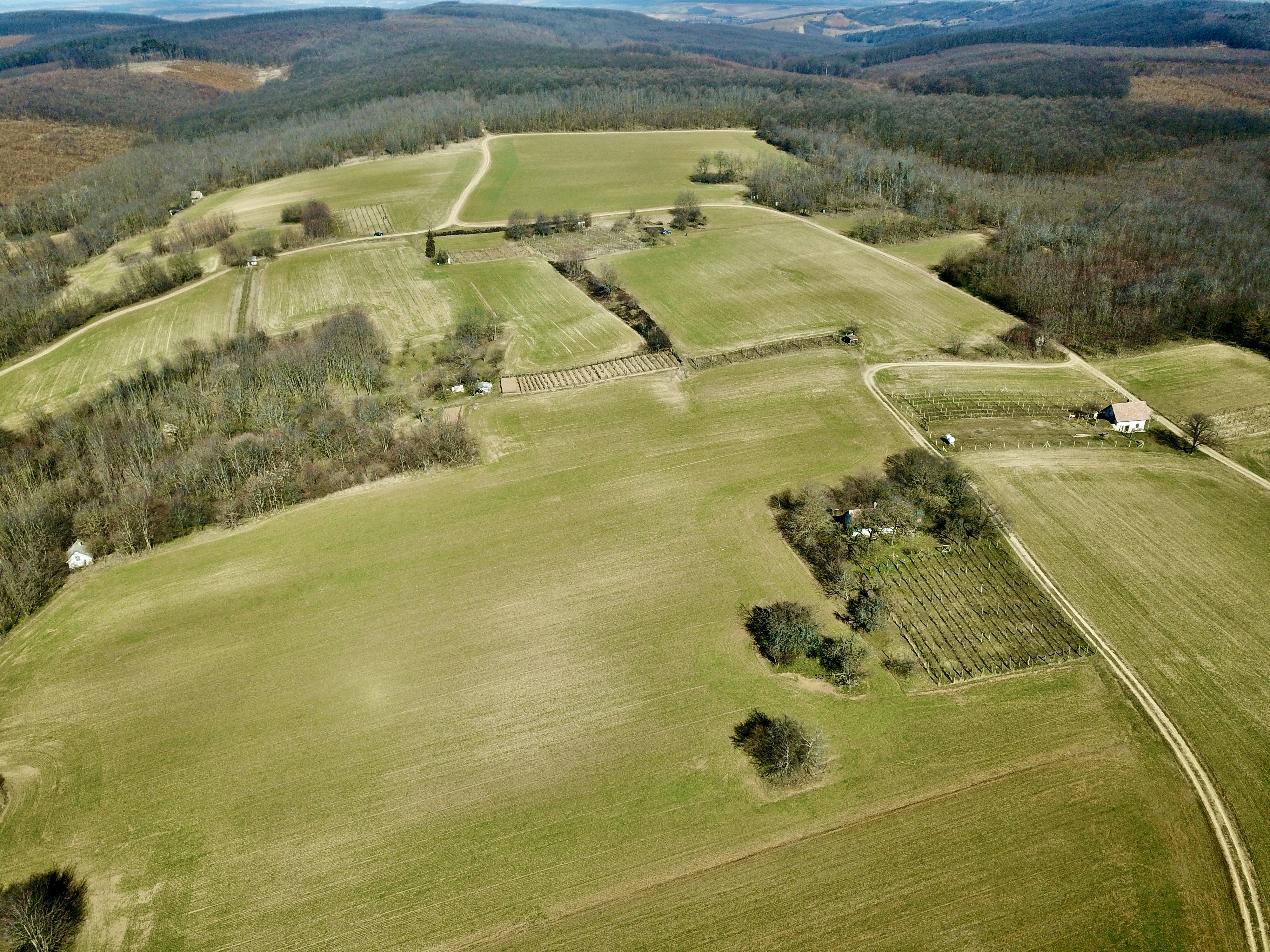 Aerial view of expansive fields interspersed with clusters of trees and dirt roads.