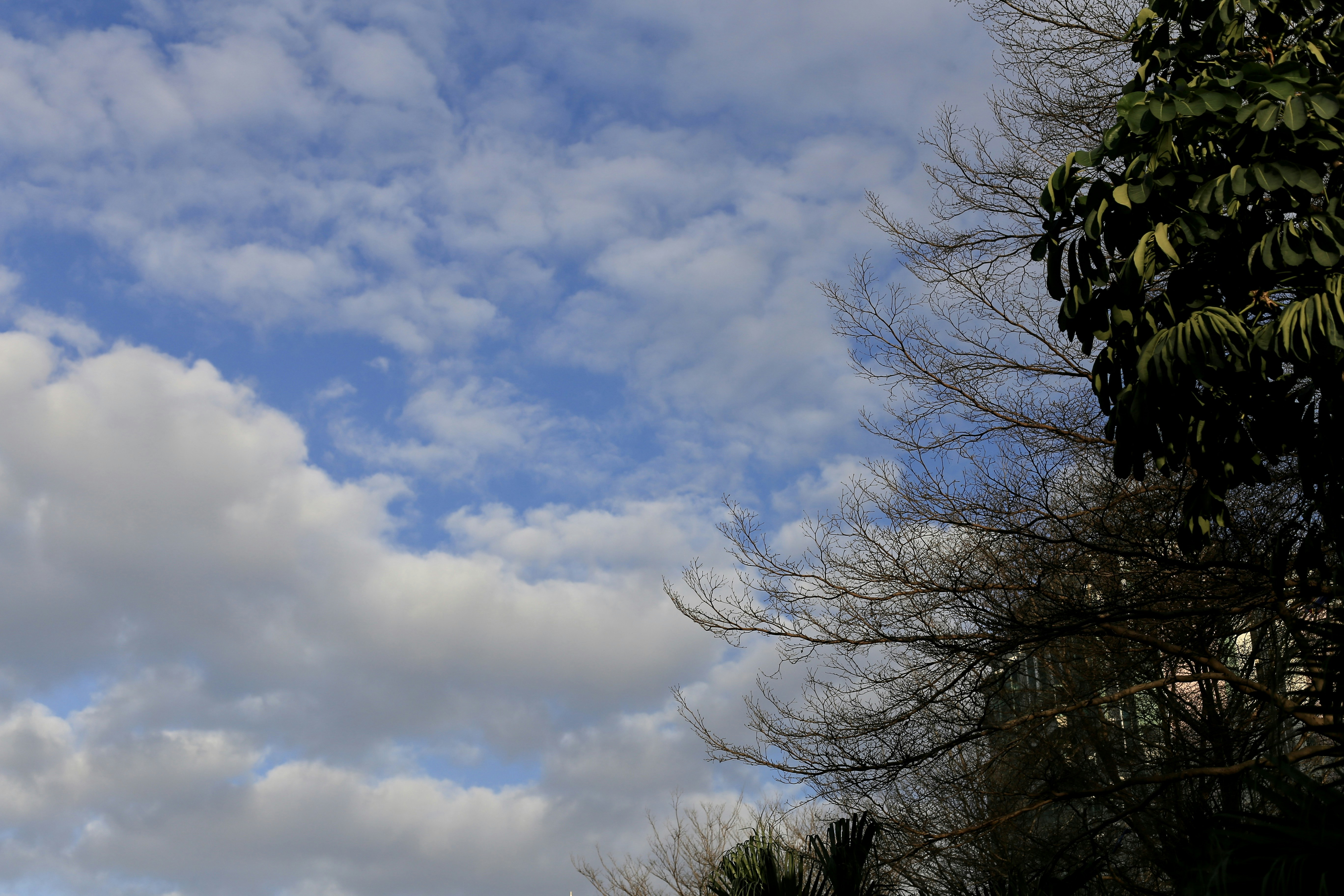 Patchwork Sky Over a Quiet Edge of Town
