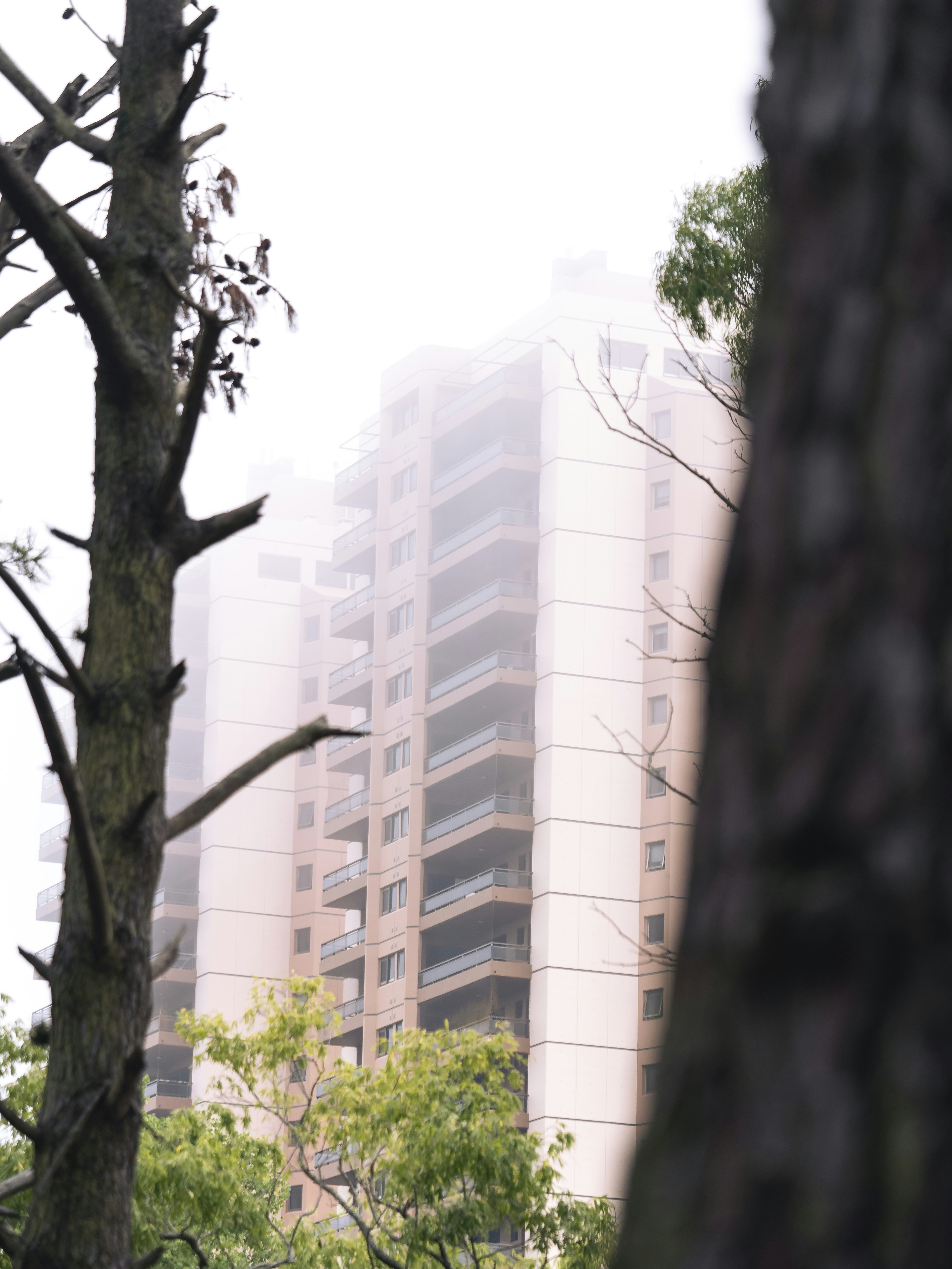 a tall building sitting next to a tree