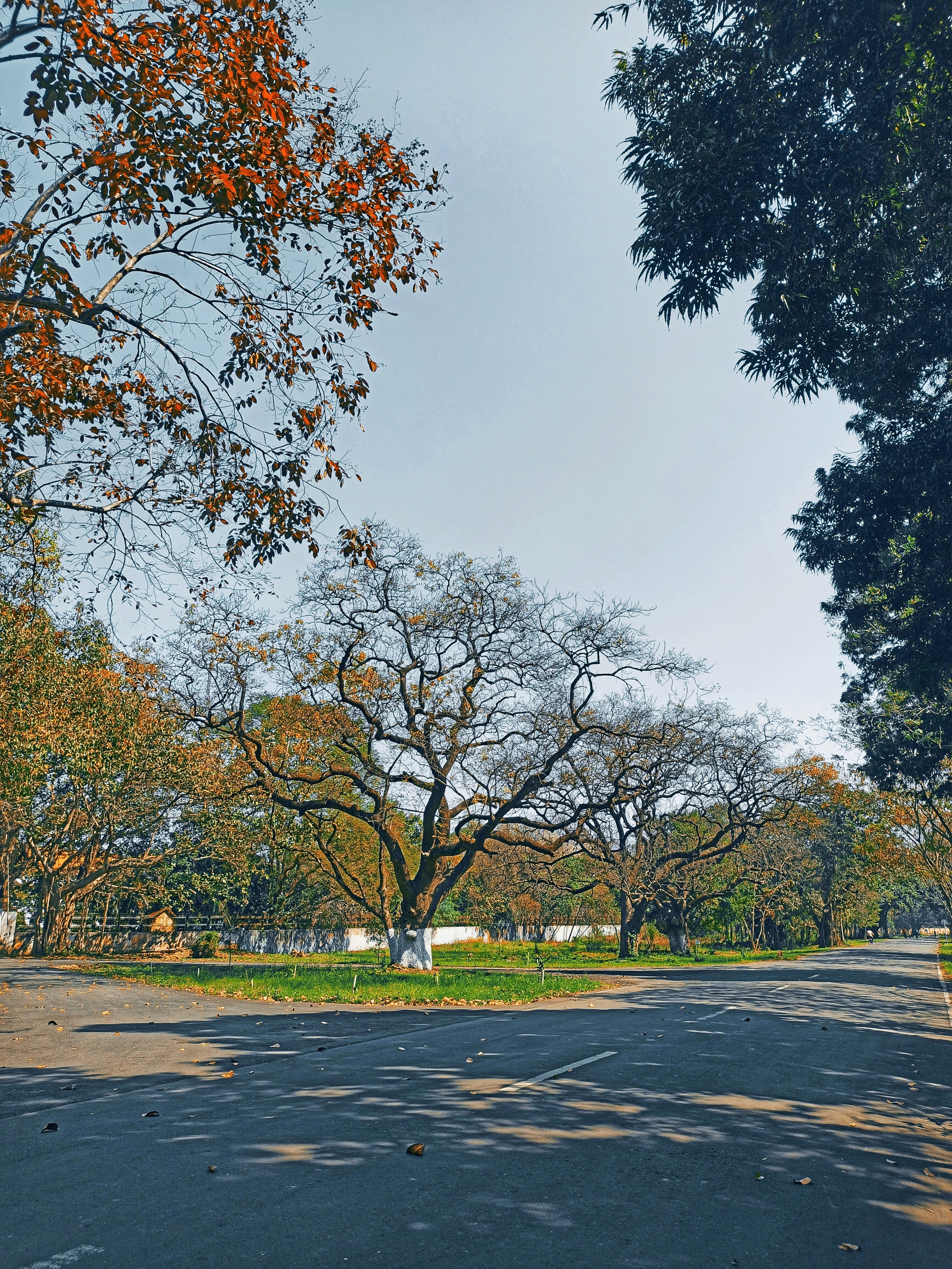 Street Photography | 7 best free street, beautiful, travelphotography ...