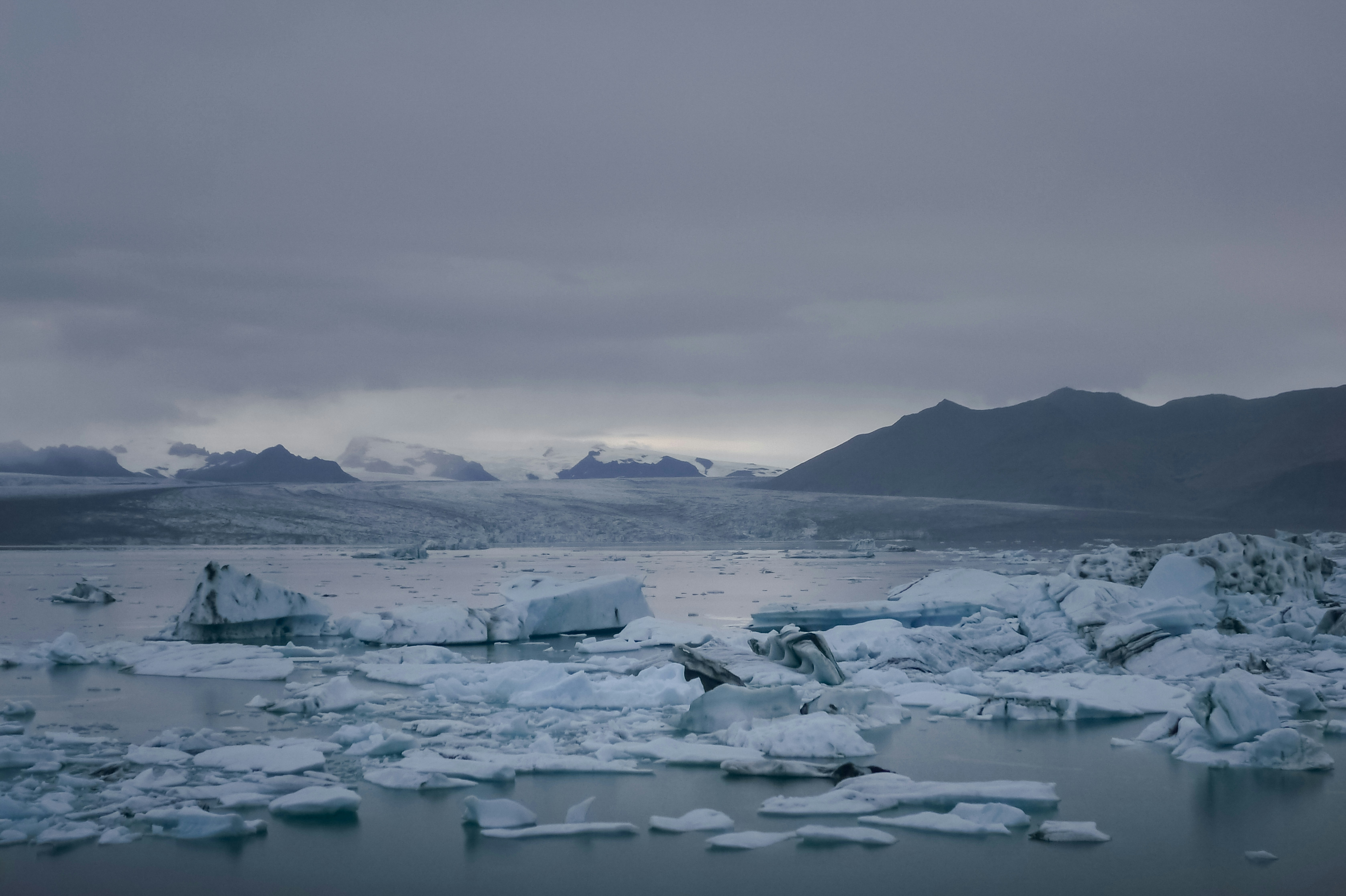 Blue-hued ice floes drift on a still fjord, with distant glacier-backed mountains under a gray, overcast sky.