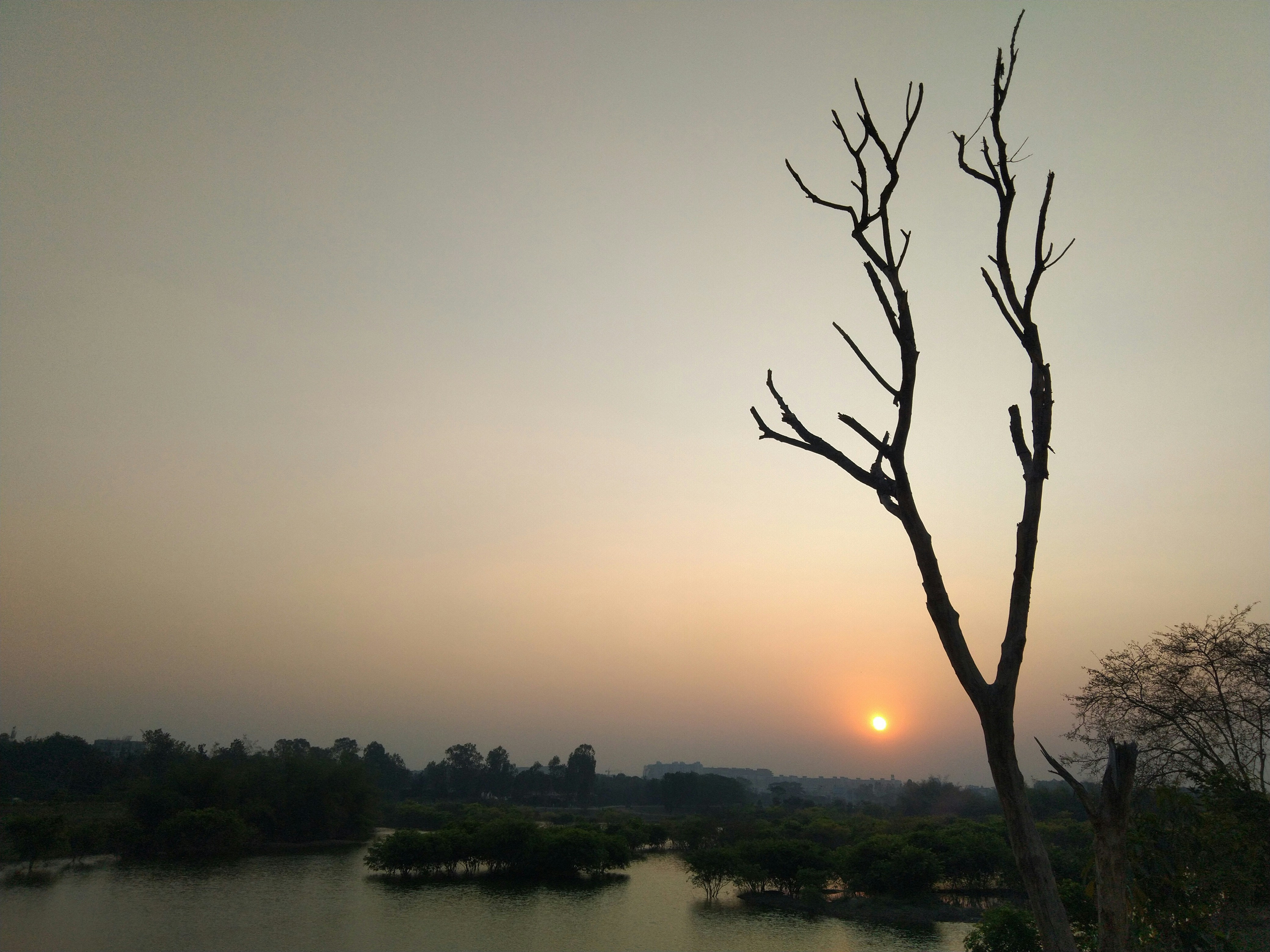 A solitary, leafless tree silhouetted against a fading sky as the sun sets over a tranquil waterway, creating a serene atmosphere.