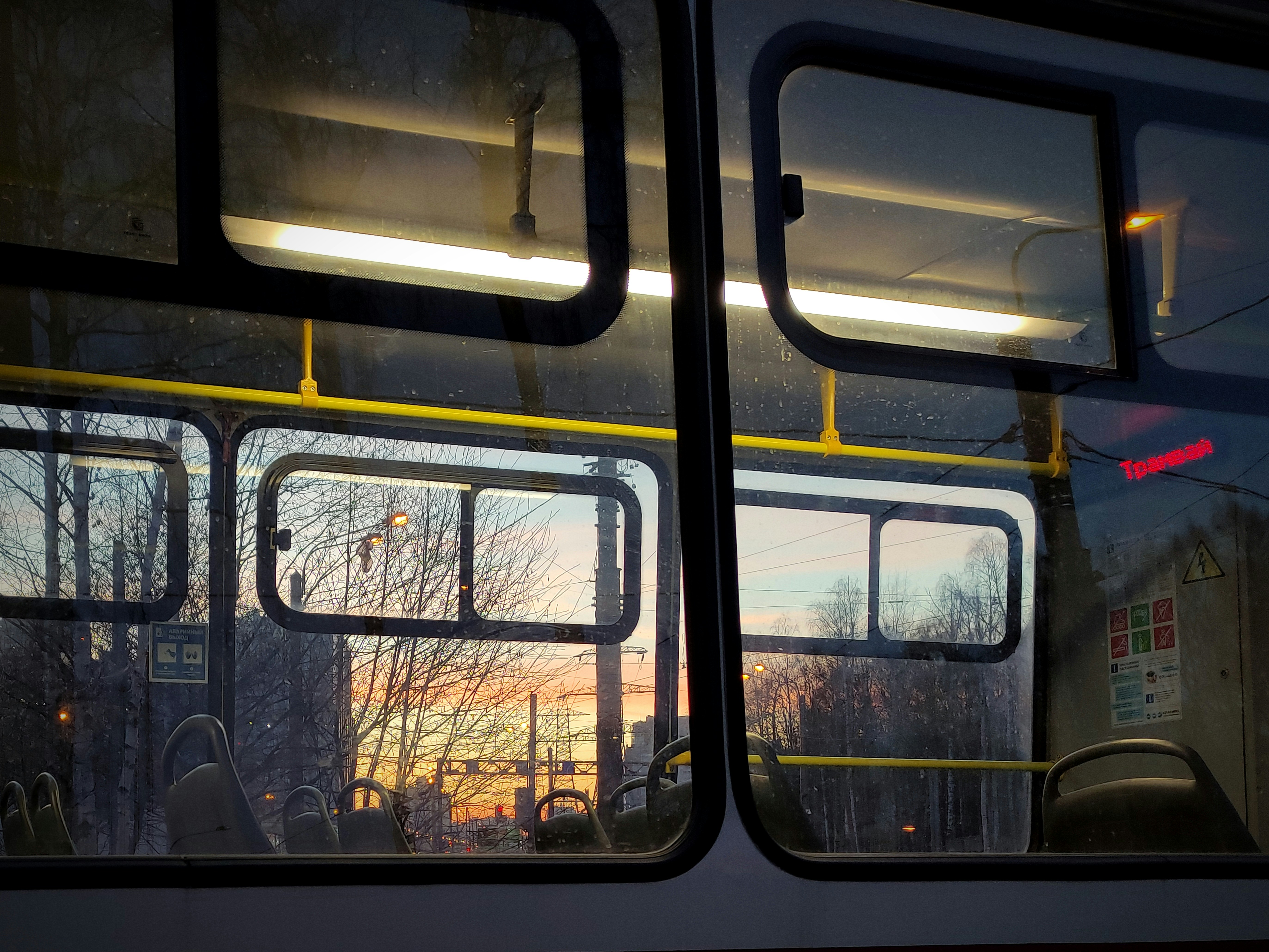 窓の外を望むバス車内からの眺めの写真 – Unsplashの無料セントピーターズバーグ写真