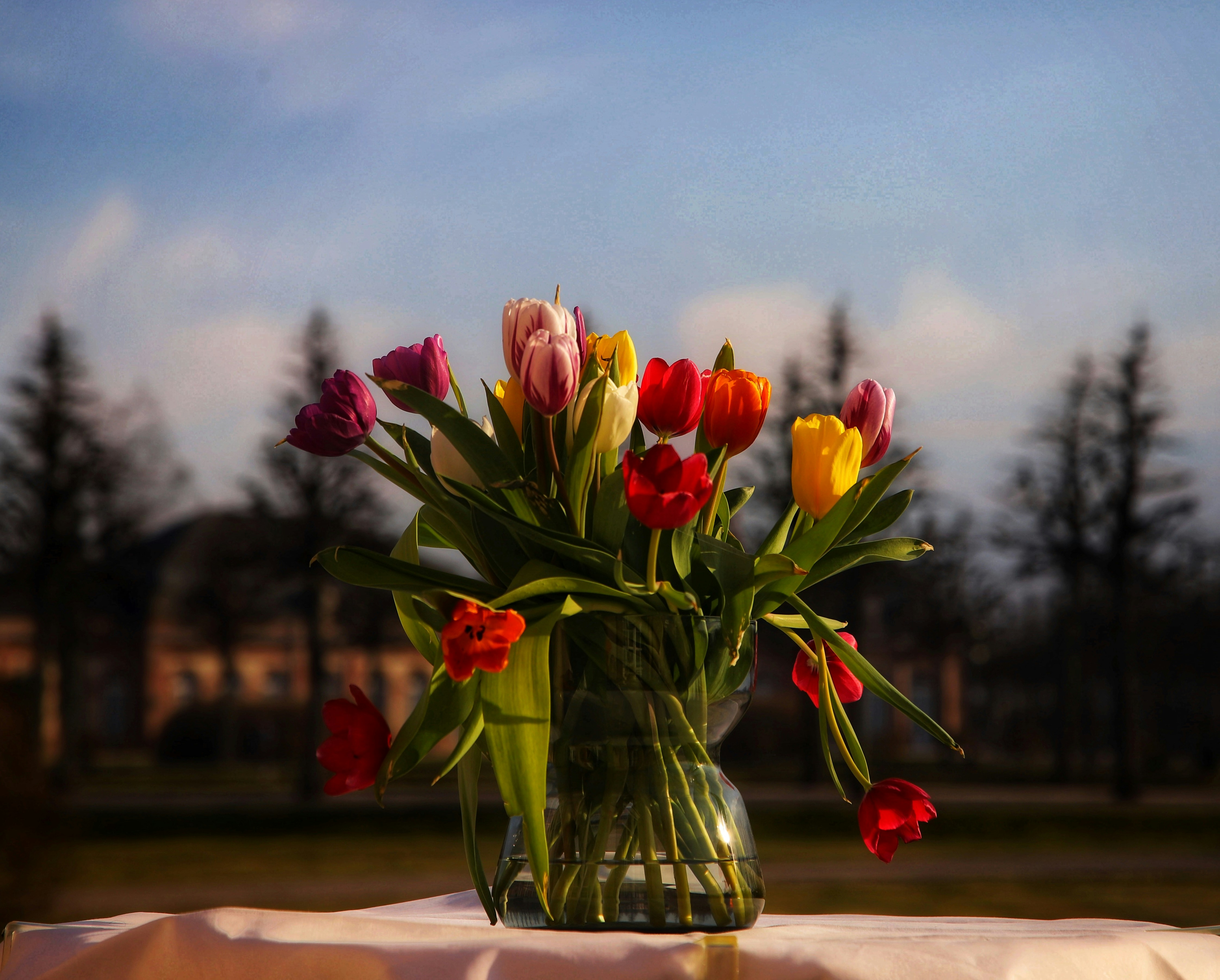 Un vase rempli de fleurs colorées sur une table photo – Photo ...