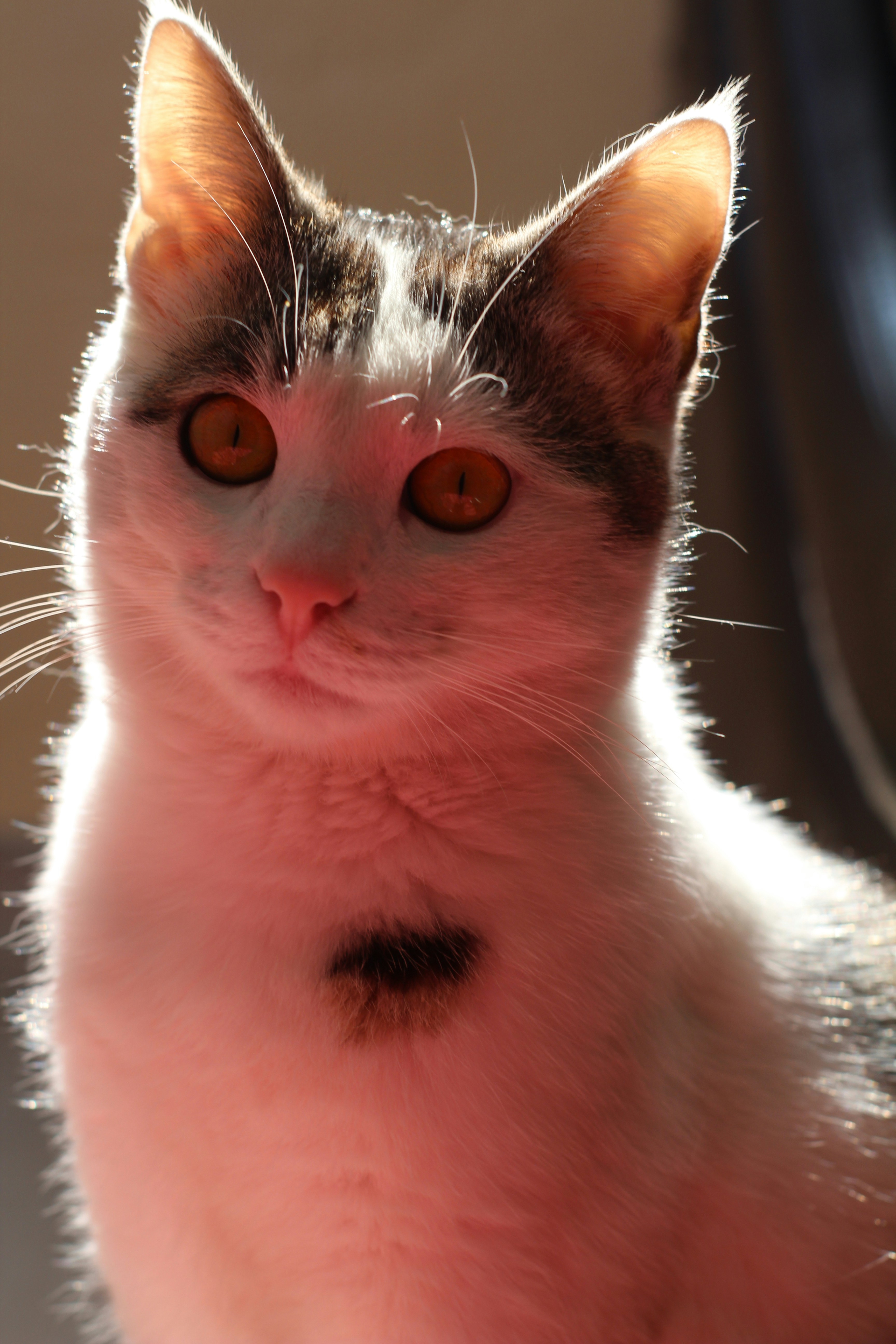 Mikail Karagöz (@mikailk1) | Unsplash Photo Community