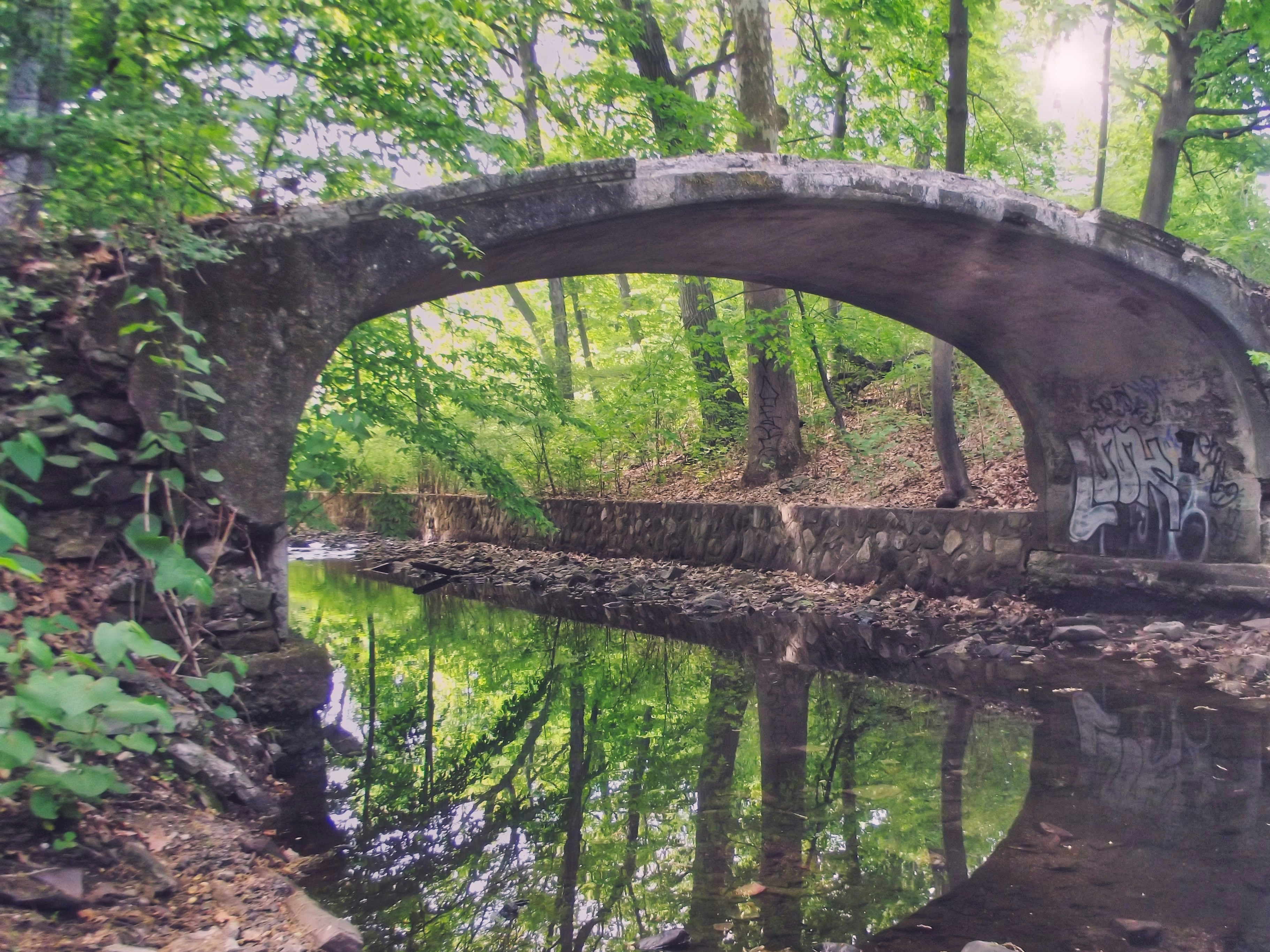 A moss-covered stone bridge arches over a reflective stream surrounded by lush green forest.