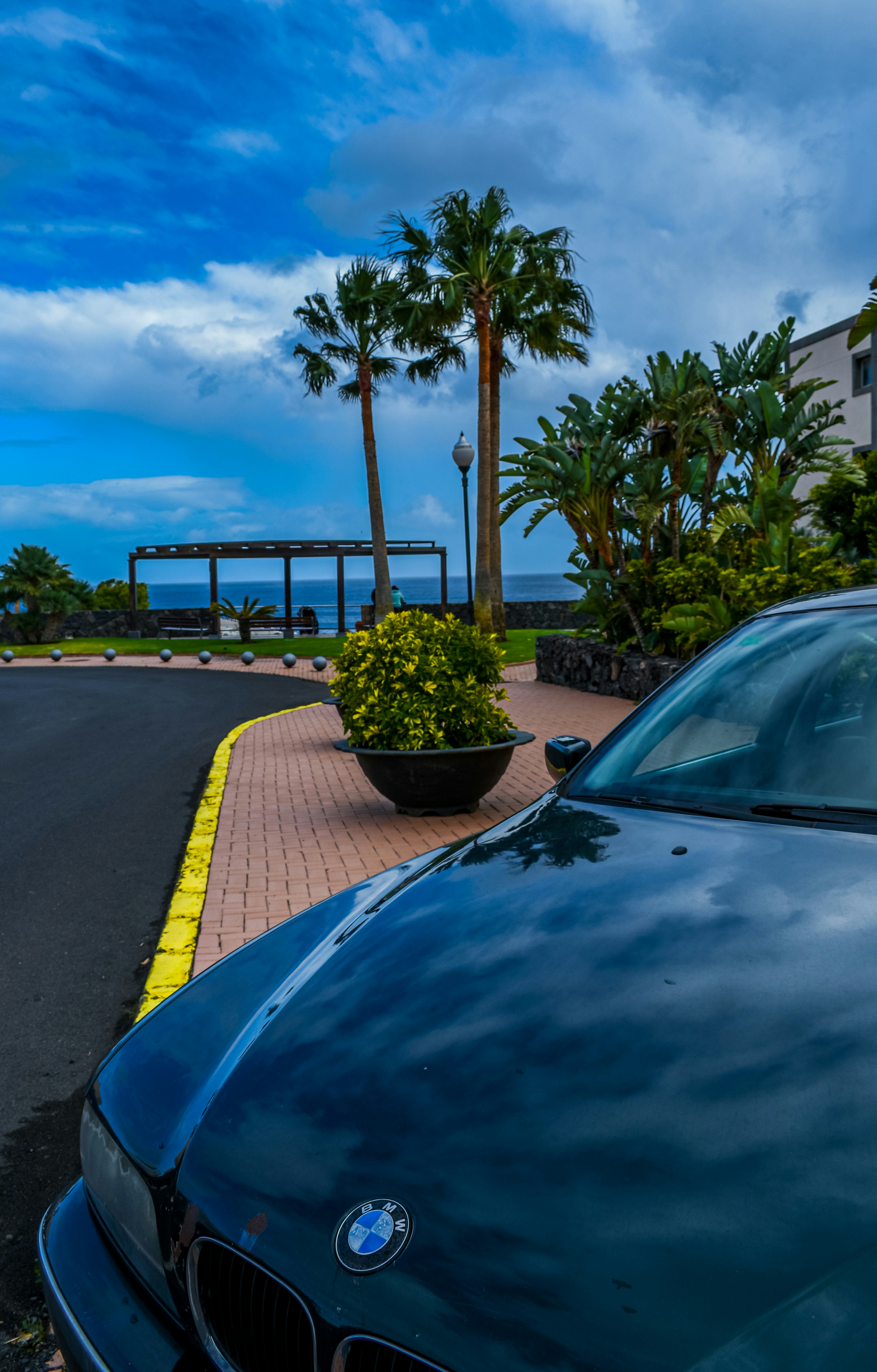 Blue BMW at a Palm-Lined Seaside Promenade